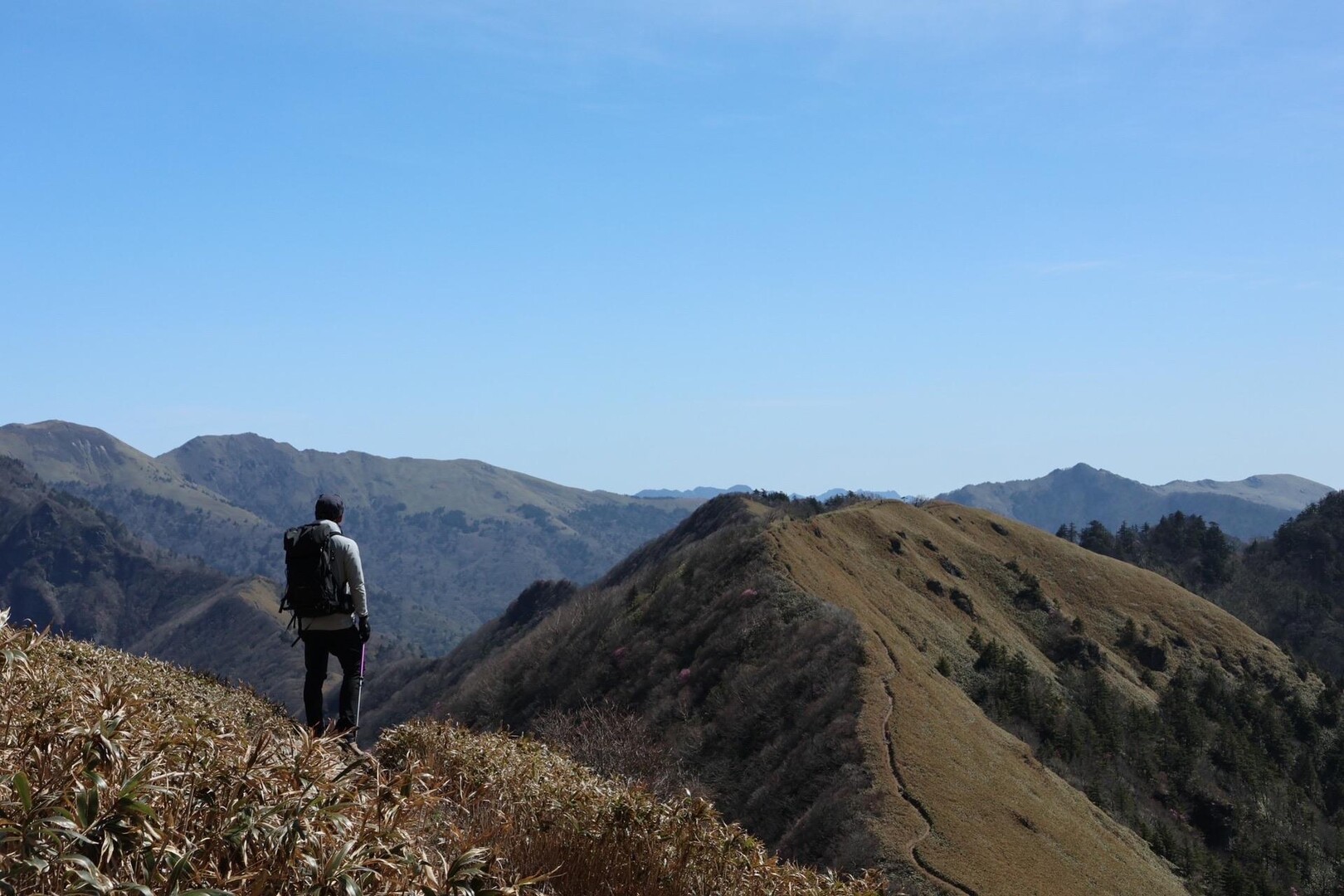 春の伊予富士(Gr) / がんばるんばいむらかみさんの笹ヶ峰・寒風山・平家平の活動データ | YAMAP / ヤマップ