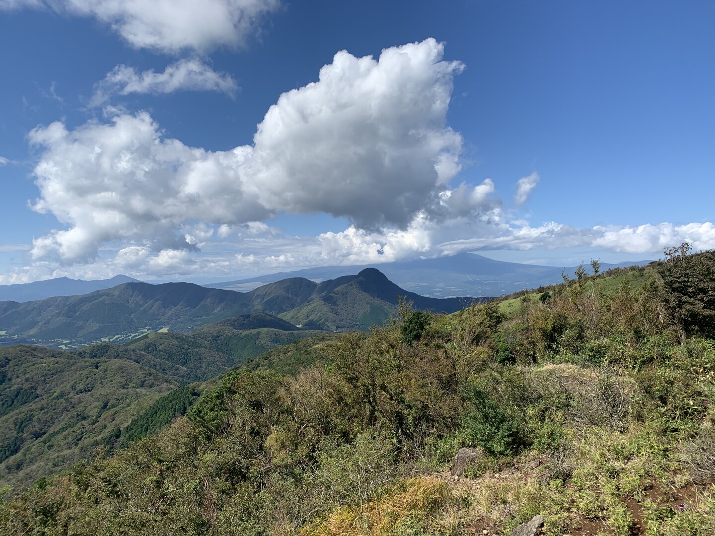 台風一過の明神ヶ岳 / Ken119さんの金時山・明神ヶ岳の活動データ | YAMAP / ヤマップ