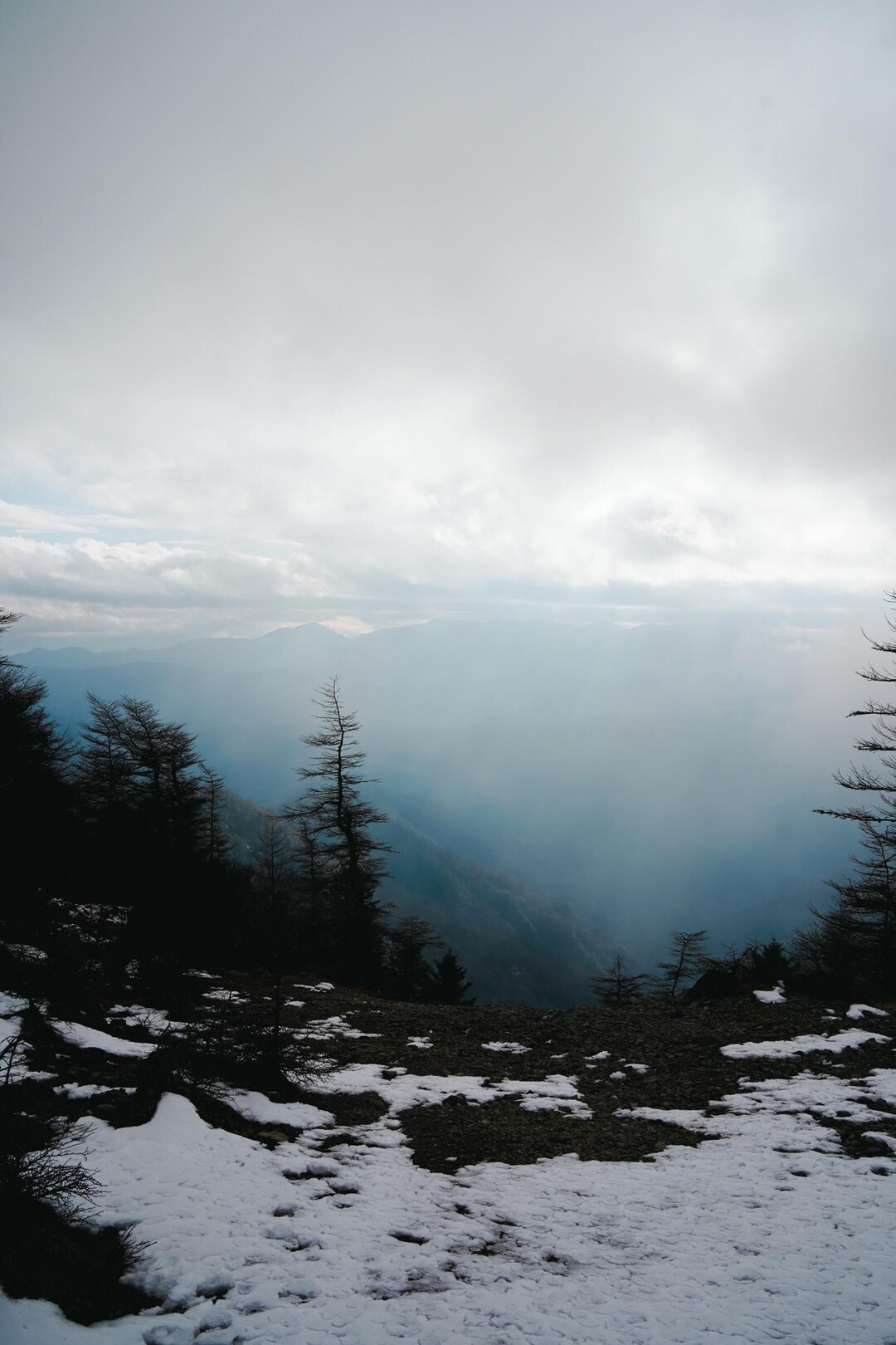 日帰り雲取山 / YURIさんの雲取山・鷹ノ巣山・七ツ石山の活動データ | YAMAP / ヤマップ