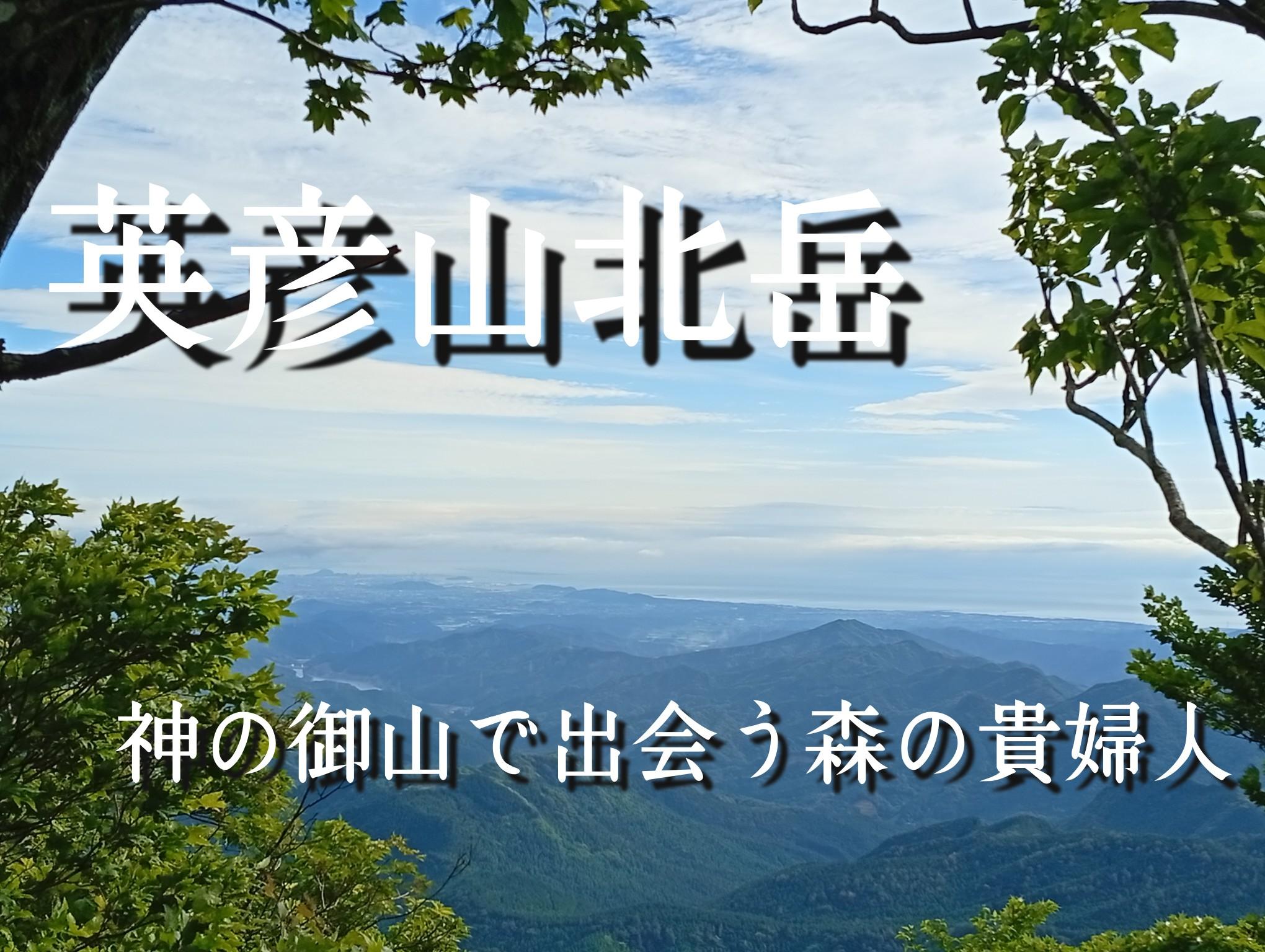 https://youtu.be/8zM... / 大谷の一味さんのモーメント | YAMAP / ヤマップ