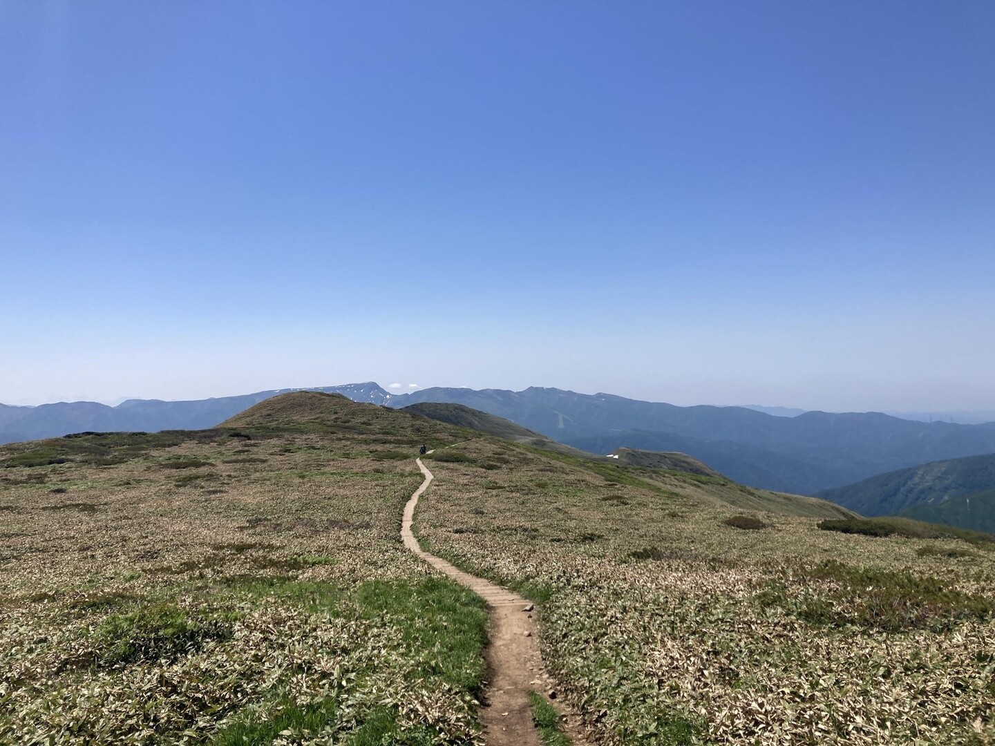 越後の平標山に / sopaさんの仙ノ倉山・平標山・大源太山の活動データ | YAMAP / ヤマップ