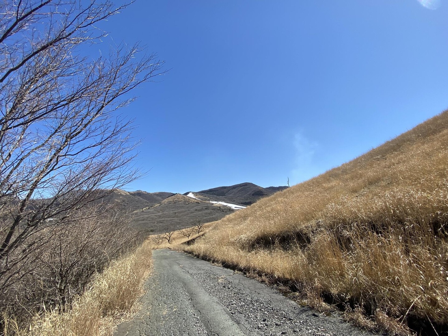 涌蓋山 _2023-03-14 / topperさんのウォーキングの活動データ | YAMAP / ヤマップ