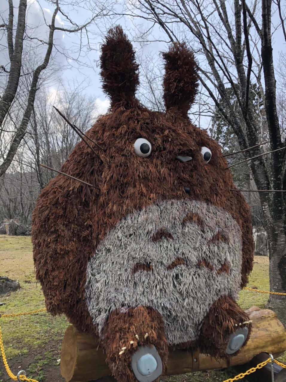 homareのページ | YAMAP / ヤマップ