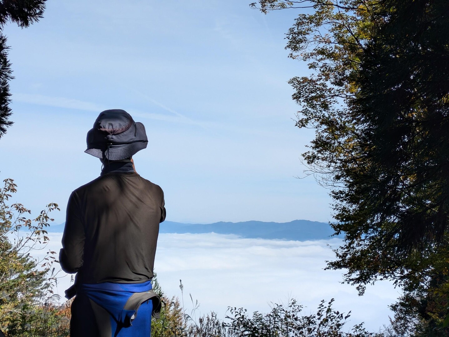 リベンジ熊野山 / Tarzanワタナベさんの熊野山の活動データ | YAMAP / ヤマップ