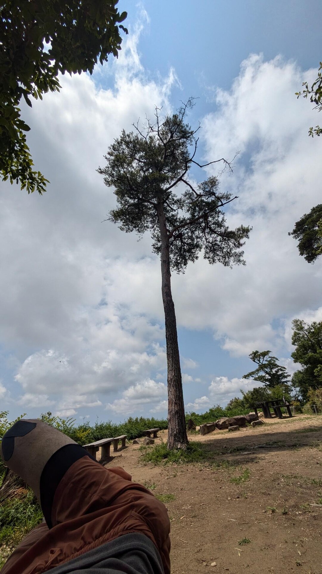 六甲全山縦走 23km 塩屋駅〜掬星台 / セロリさんの六甲山・長峰山・摩耶山の活動データ | YAMAP / ヤマップ