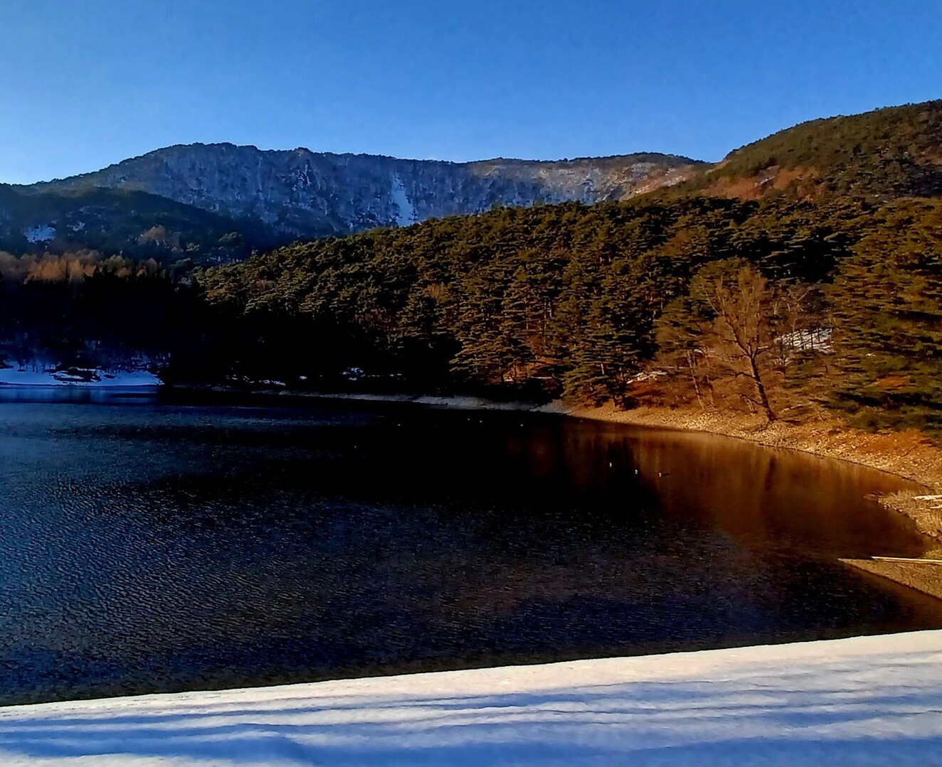 冬晴れの半田山、気ままにハイキング / No-036さんの半田山・萬歳楽山の活動データ | YAMAP / ヤマップ