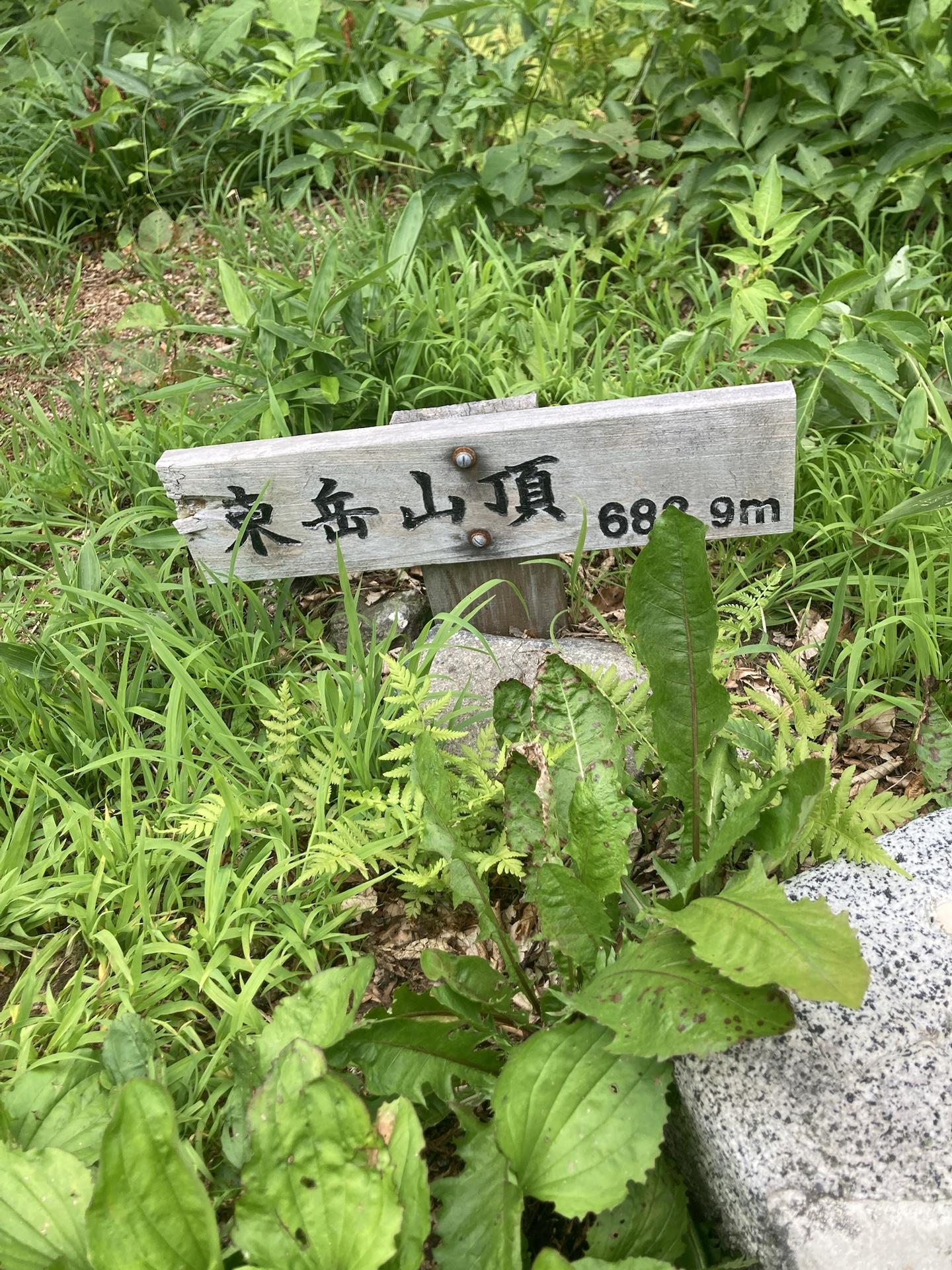 東岳 / junko(☝ ՞ਊ ՞)☝CKBさんの東岳・大平山の活動データ | YAMAP / ヤマップ