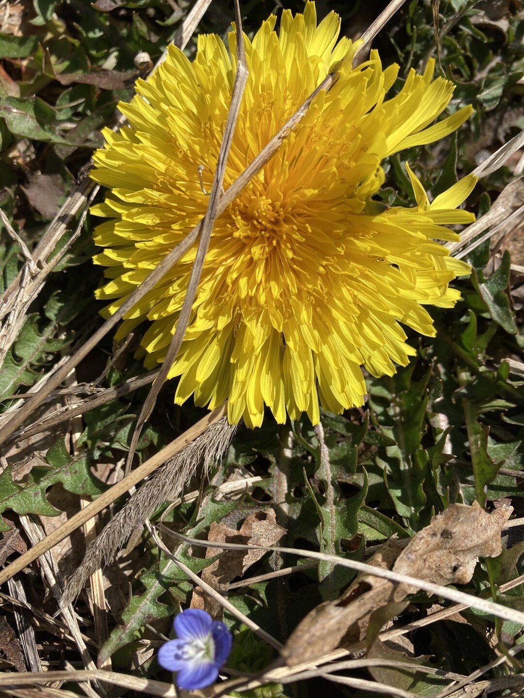 2023.04.05(水) 21:18 / AOさんのモーメント | YAMAP / ヤマップ