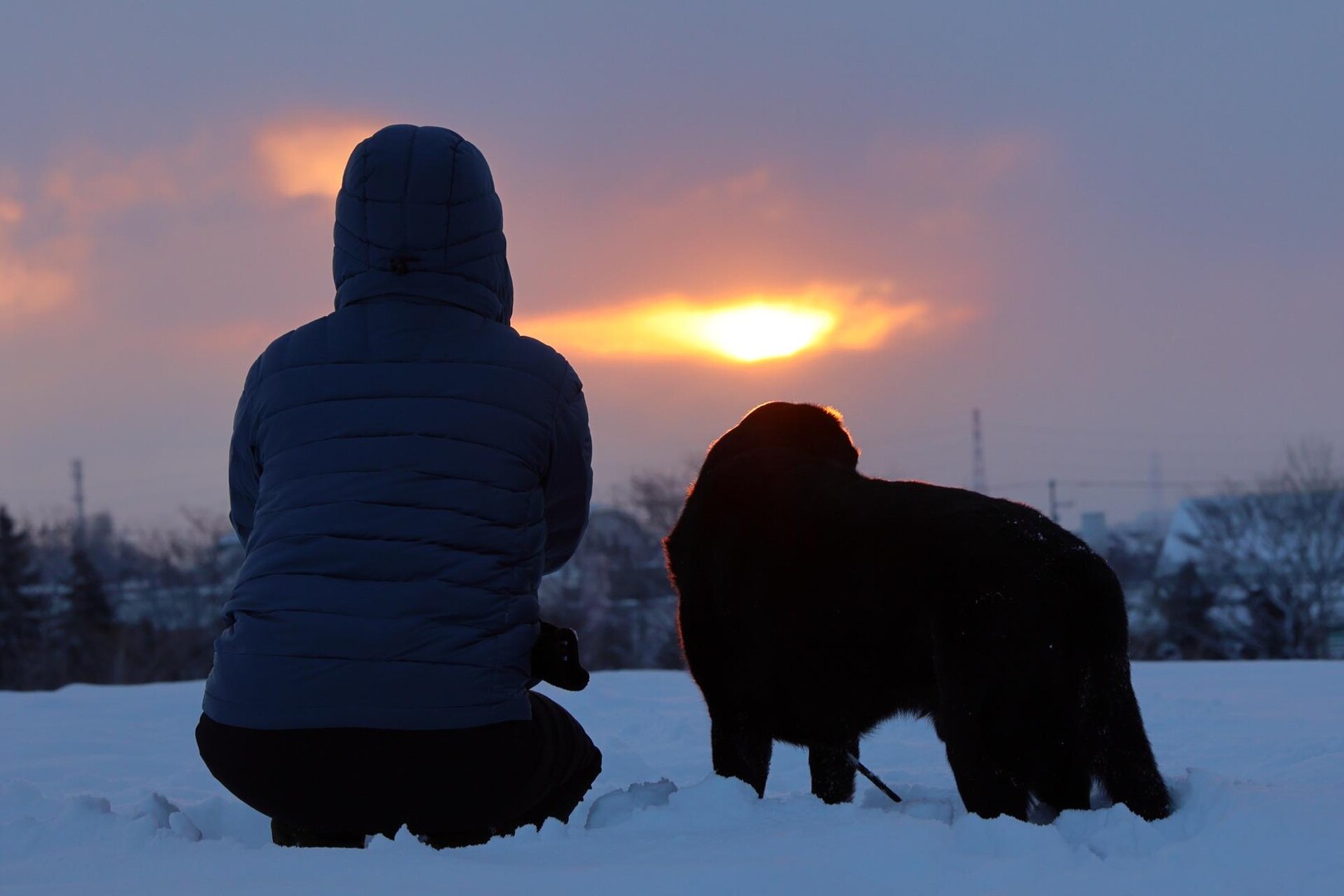 近所の公園の山でハリーさんと一緒に初日の... / kojiyadさんのモーメント | YAMAP / ヤマップ