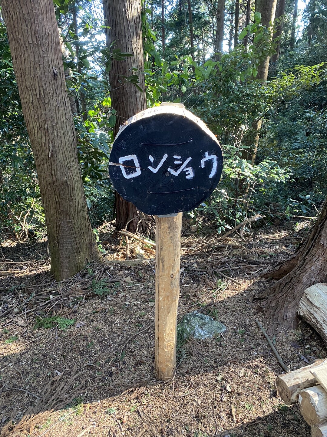 2022.01.22(土) 10:28 / miuさんのモーメント | YAMAP / ヤマップ