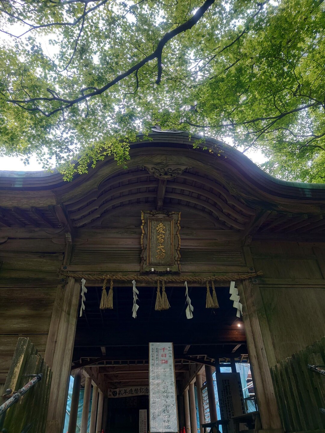 愛宕山 / momoさんの愛宕山・三頭山・朝日峯の活動データ | YAMAP / ヤマップ