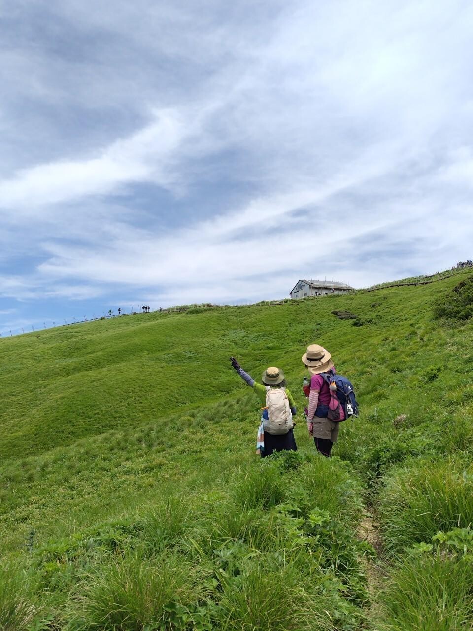 筍岩目指す一の沢！ / yakkoさんの大山・甲ヶ山・野田ヶ山の活動データ | YAMAP / ヤマップ