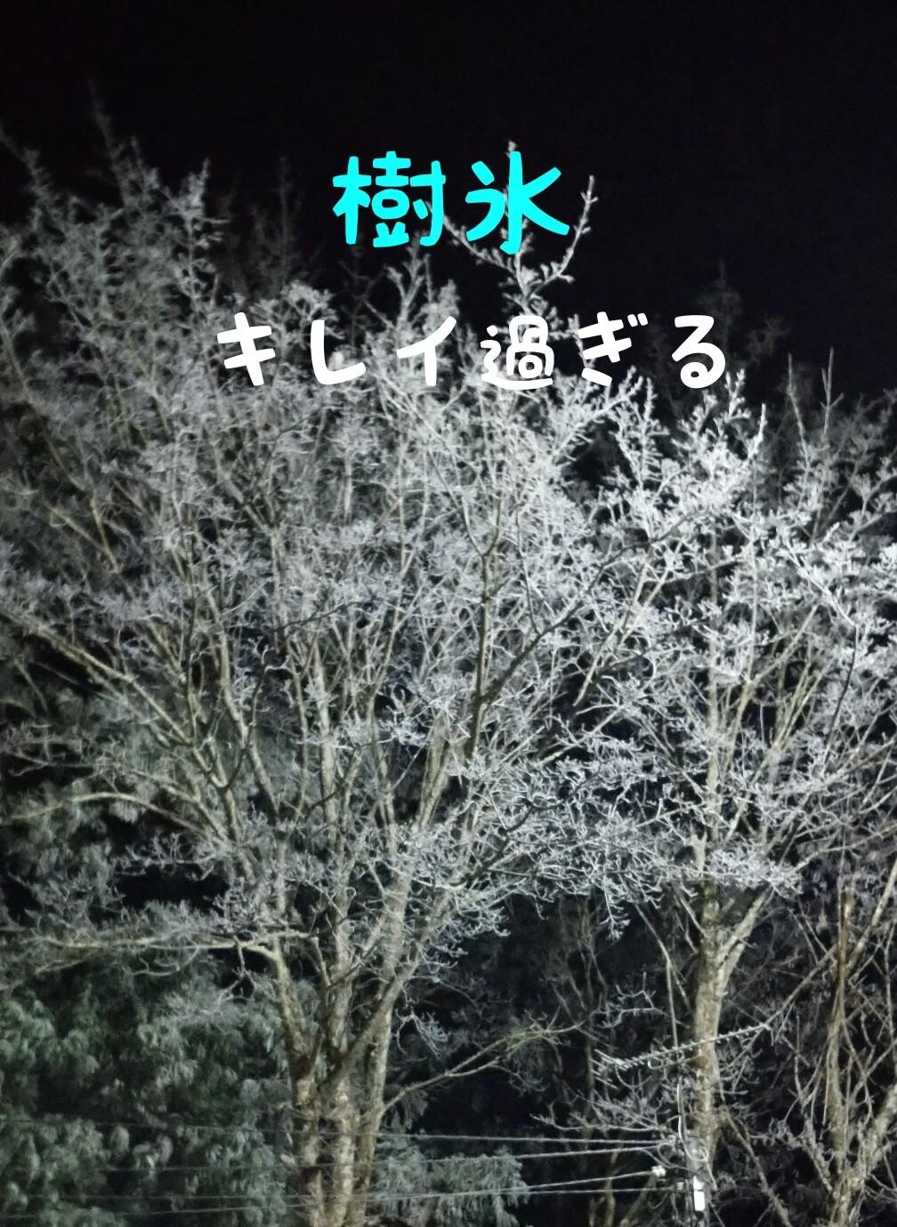 馬背〜live📸→穴熊 / くまさんさんの金剛山・二上山・大和葛城山の活動データ | YAMAP / ヤマップ