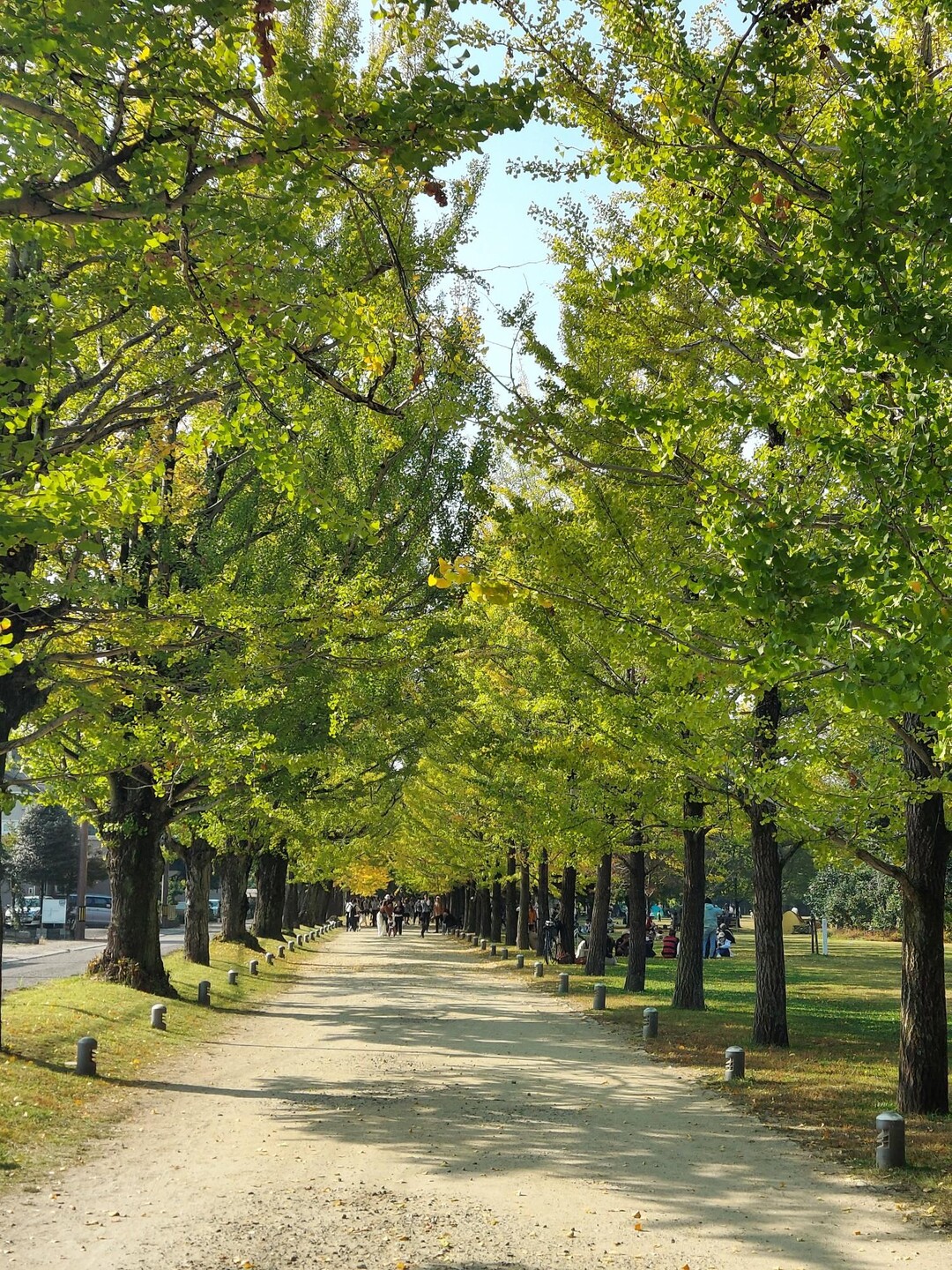 今日は⛰️をお休みして娘と都会の紅葉を見... / AKEMIさんのモーメント | YAMAP / ヤマップ