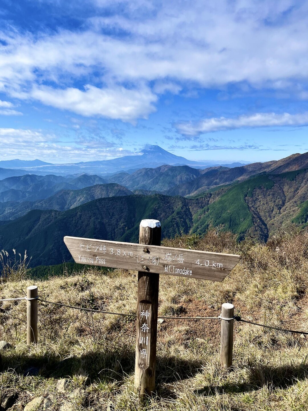 ヤビツ峠から塔ノ岳 2024-11-09 / すーじー / steepbrew さんの塔ノ岳・丹沢山・蛭ヶ岳の活動データ | YAMAP / ヤマップ