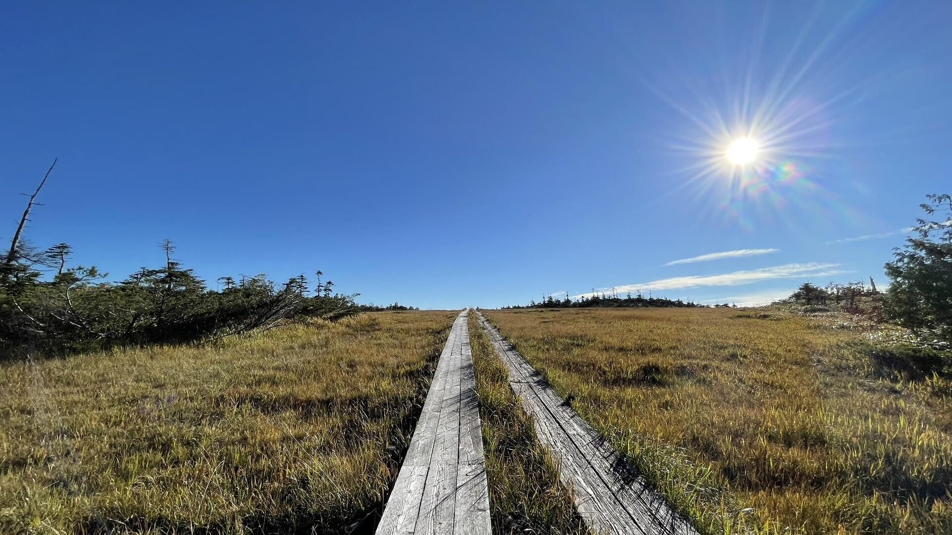 KSさんの投稿したフィールドメモ | YAMAP / ヤマップ