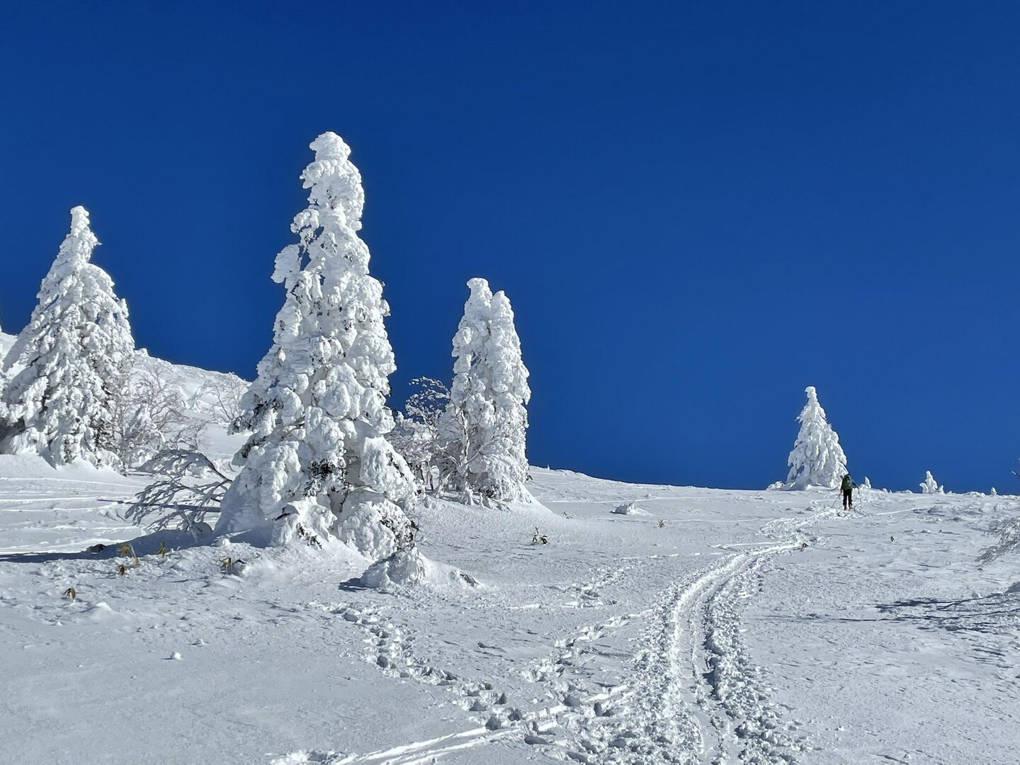 Perfect Day⭐️根子岳 / mieさんの四阿山・根子岳の活動データ | YAMAP / ヤマップ