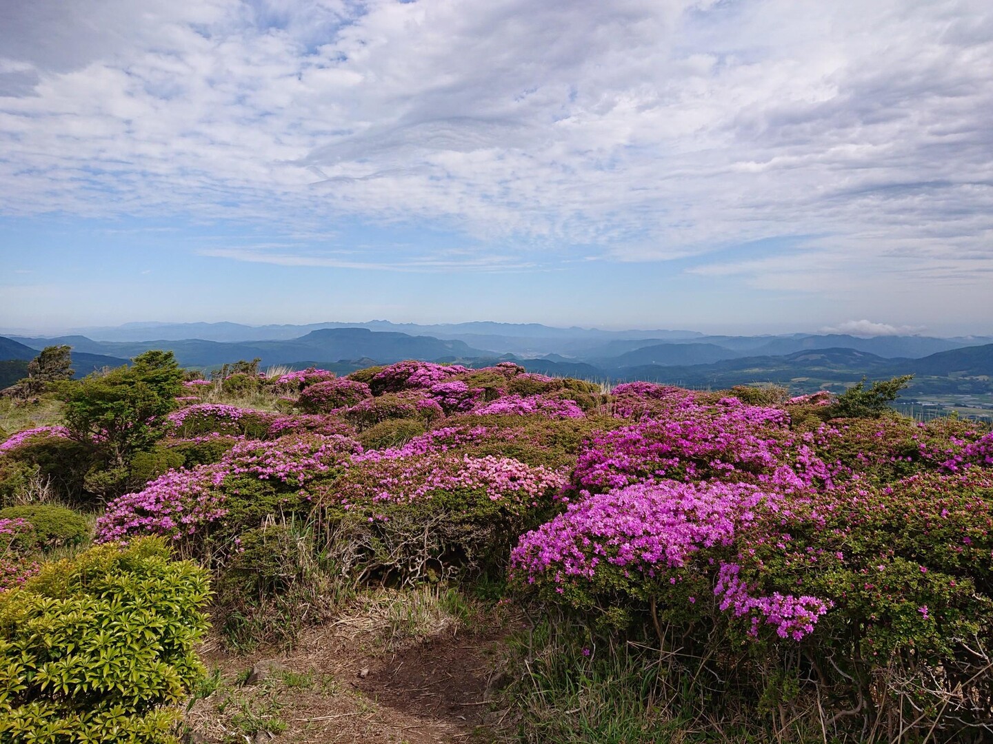 指山（九重山） / Bayonさんの九重山（久住山）・大船山・星生山の活動データ | YAMAP / ヤマップ