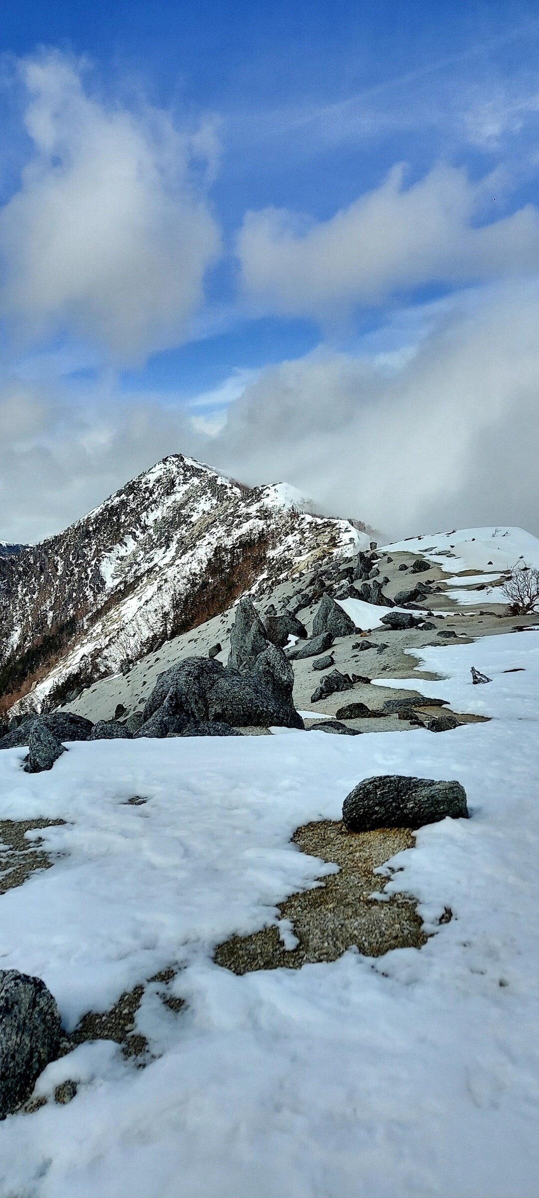 P 夜叉神～薬師岳（鳳凰山)ピストン / kanacoさんの鳳凰山・地蔵岳・観音岳・薬師岳の活動データ | YAMAP / ヤマップ