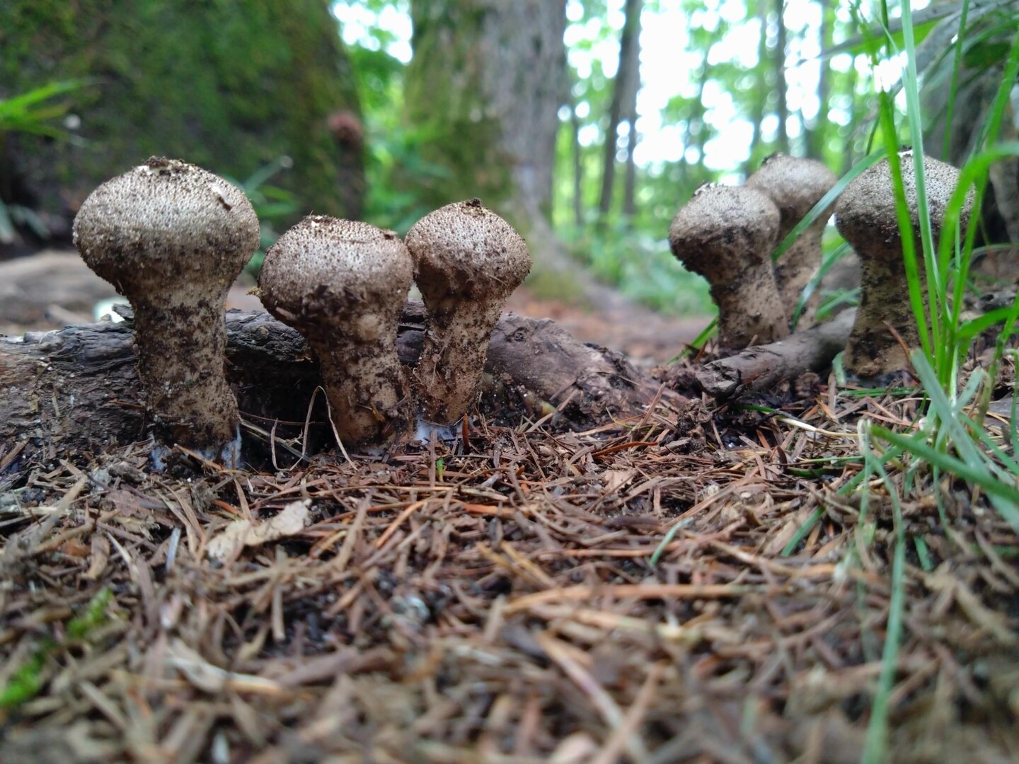 2023.08.30(水) 13:07 / kmk-nさんのモーメント | YAMAP / ヤマップ