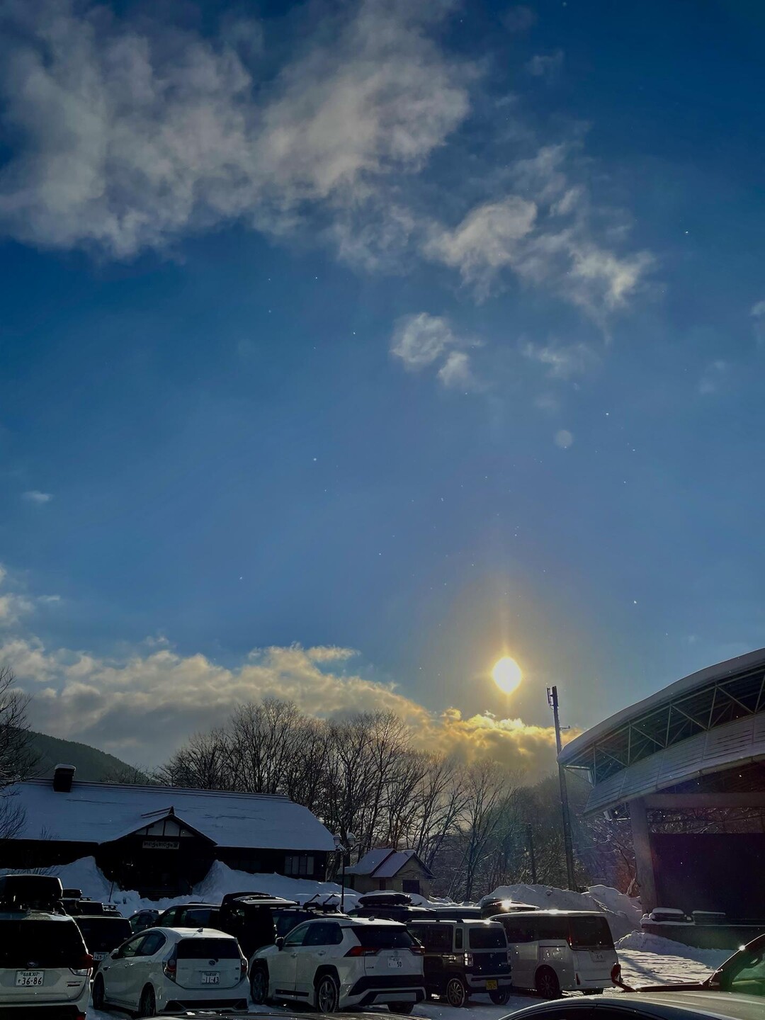 明けましておめでとうございます😄 めい... / neon neoさんのモーメント | YAMAP / ヤマップ