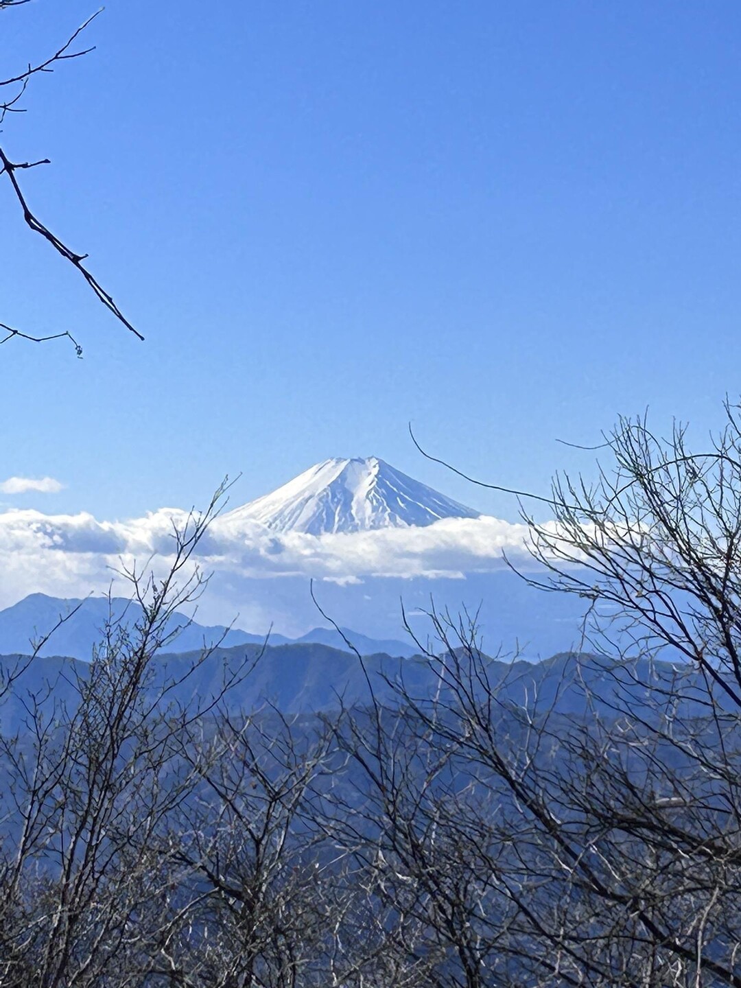 御前山 / MC HIROさんの雲取山・鷹ノ巣山・七ツ石山の活動データ | YAMAP / ヤマップ