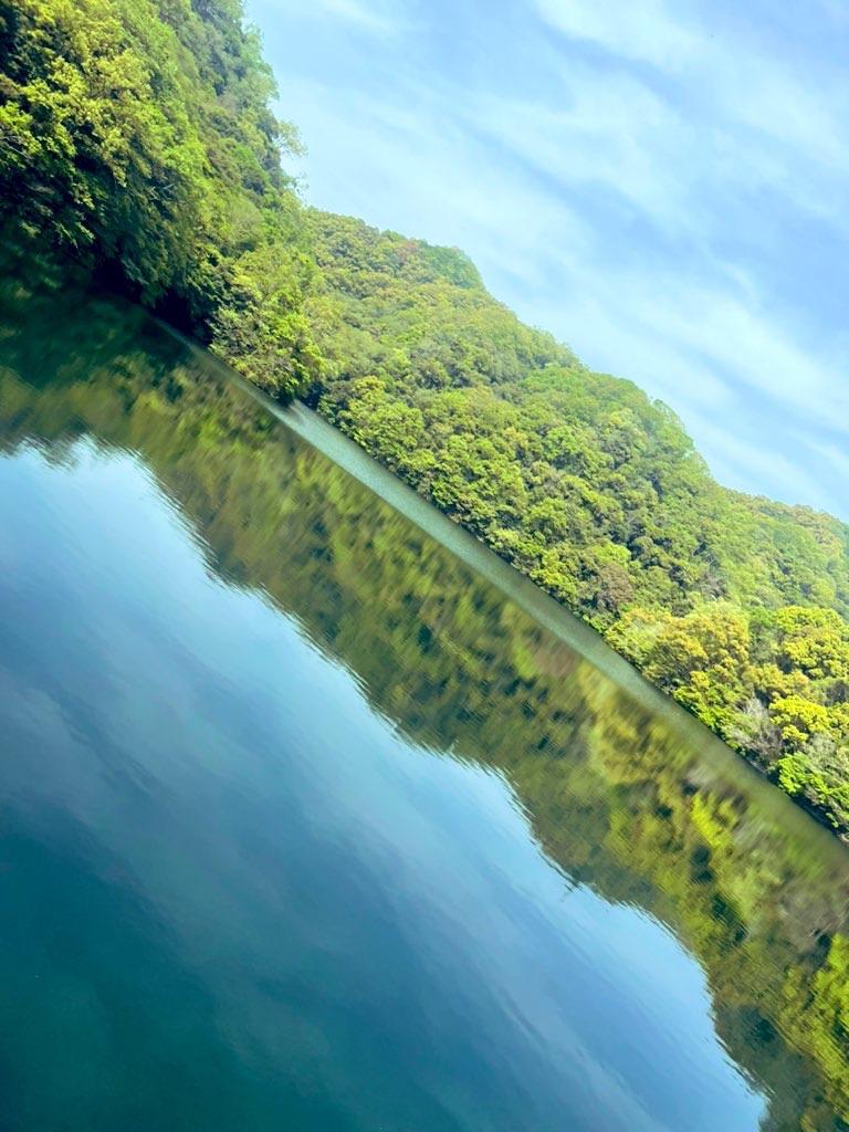 本日も再度ルート😁 / cocoさんの六甲山・長峰山・摩耶山の活動データ | YAMAP / ヤマップ