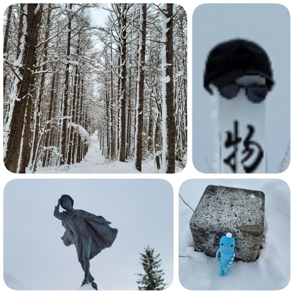 12.3 物見山（種山） / koke🌿さんの物見山（種山）の活動データ | YAMAP / ヤマップ