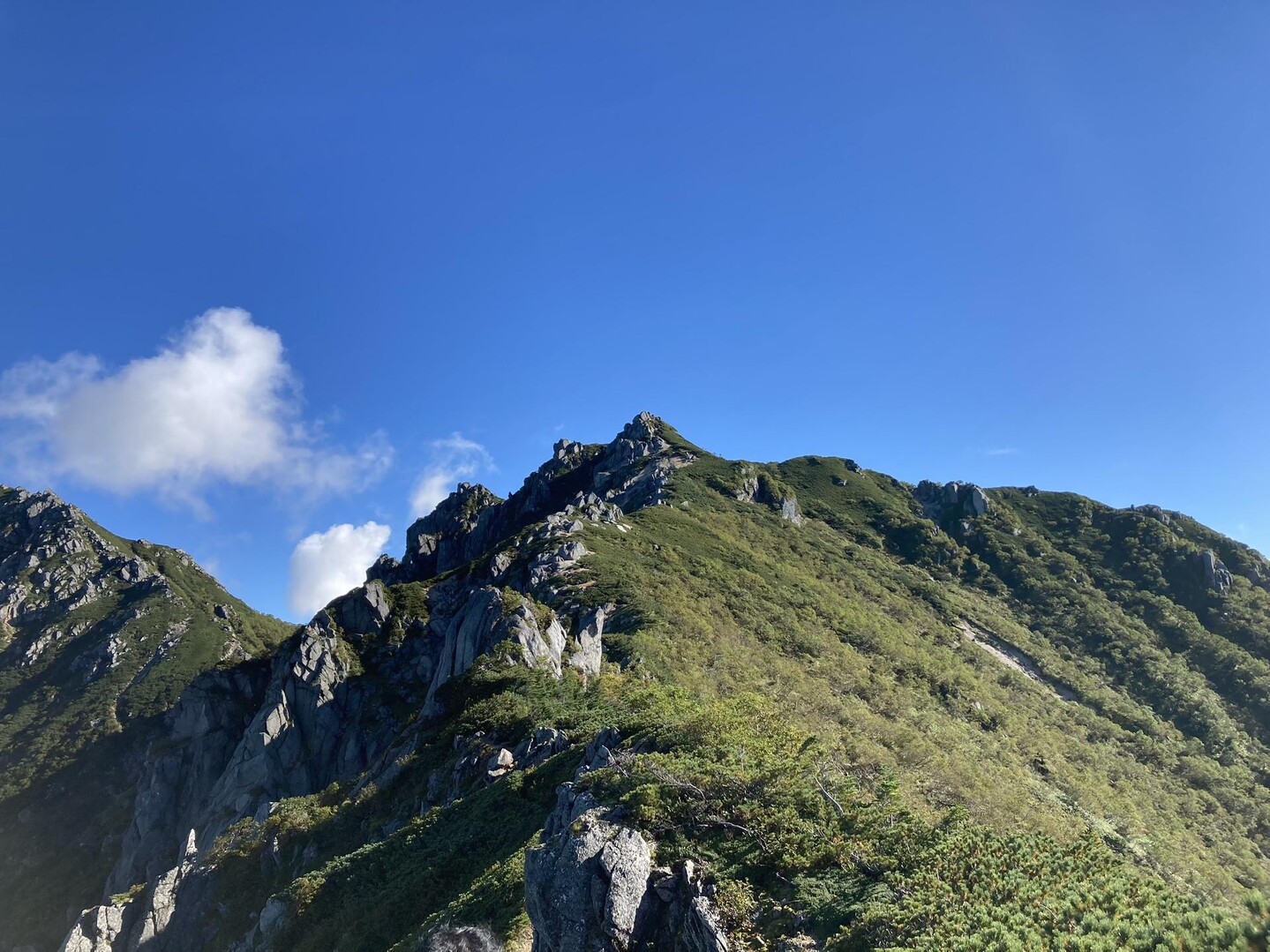 越百山 / moさんの木曽駒ヶ岳・空木岳・越百山の活動データ | YAMAP / ヤマップ