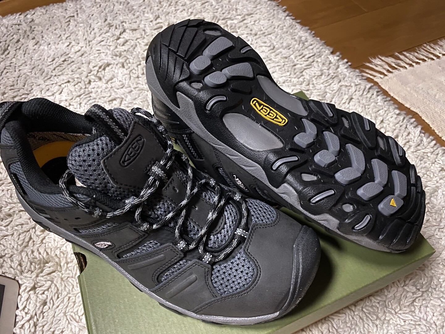 欲しかったkeenのローカットシューズ ... / 龍馬1613さんのモーメント | YAMAP / ヤマップ