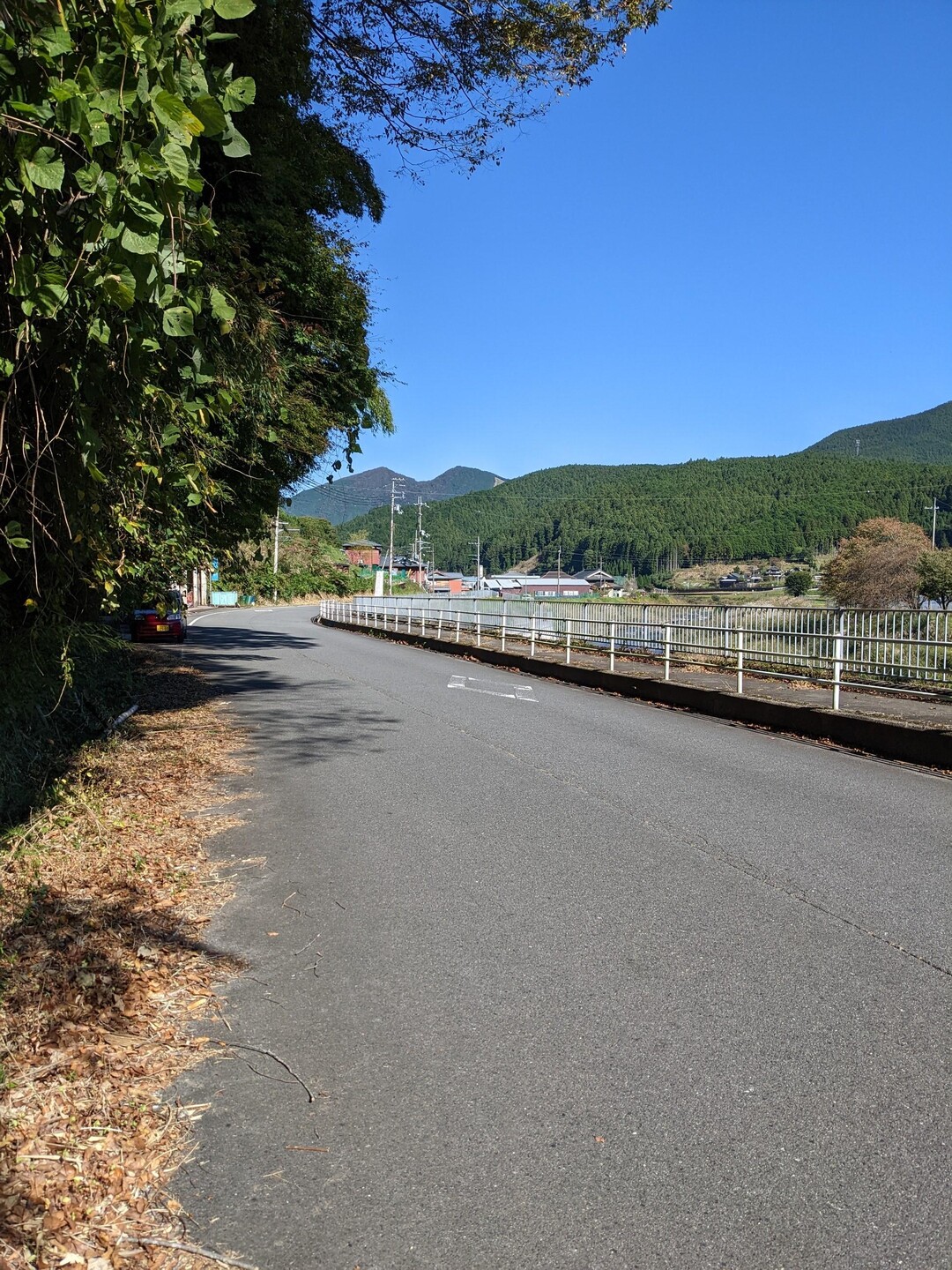 遊々さんの投稿したフィールドメモ | YAMAP / ヤマップ