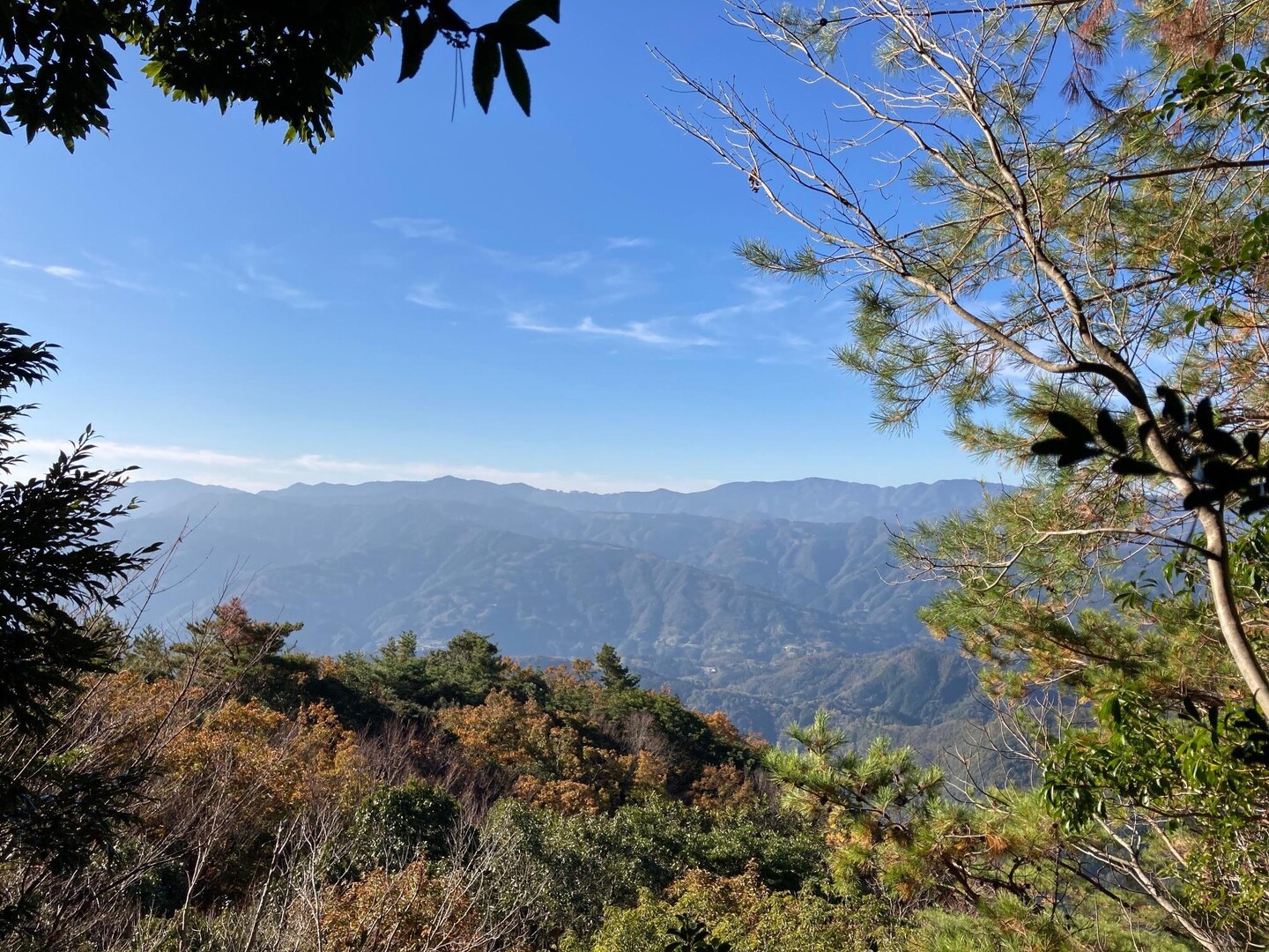 Toshio さんの投稿したフィールドメモ | YAMAP / ヤマップ