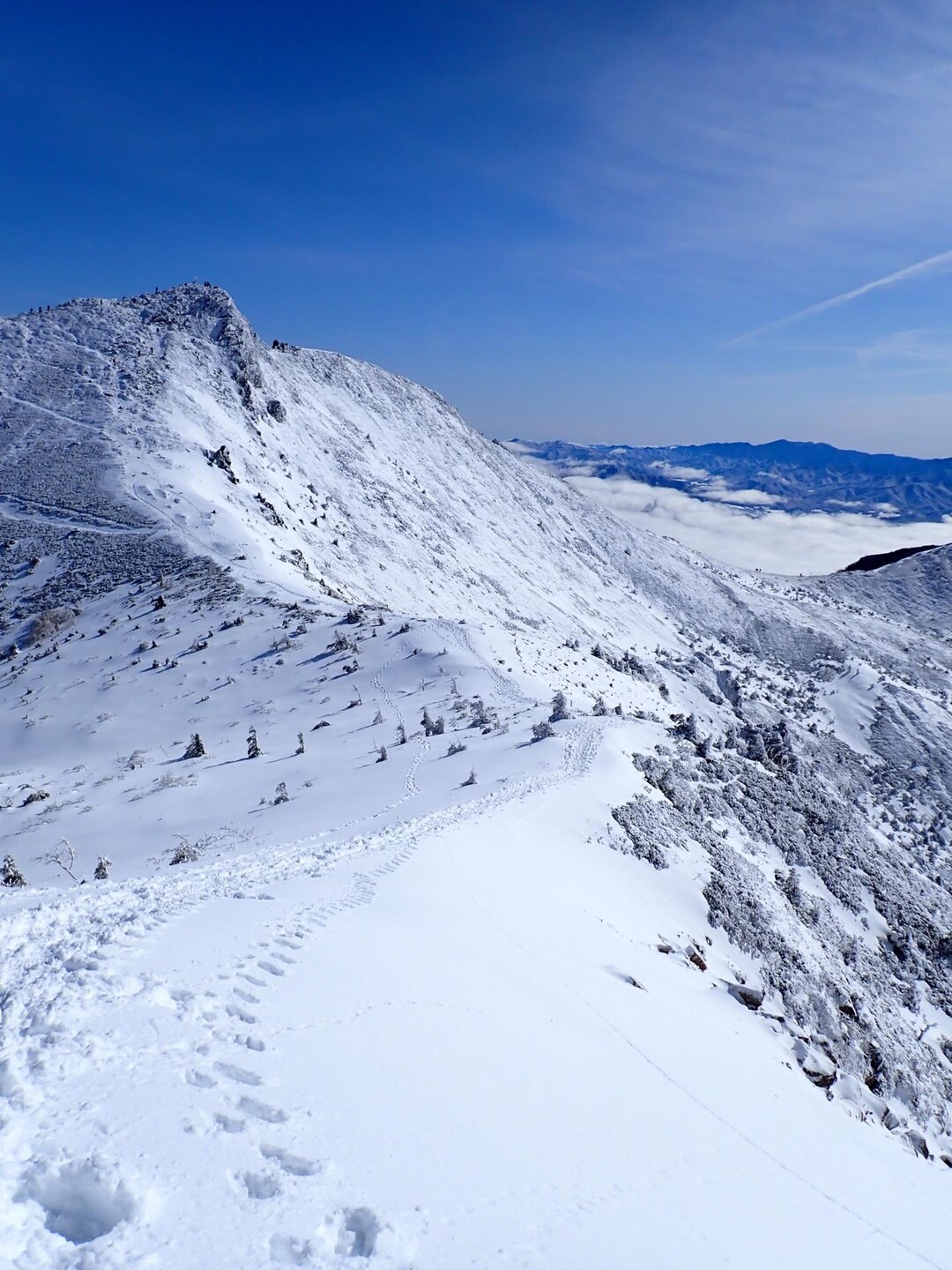 天狗岳（西天狗岳）・東天狗岳 / びびりんちょさんの八ヶ岳（赤岳・硫黄岳・天狗岳）の活動日記 | YAMAP / ヤマップ
