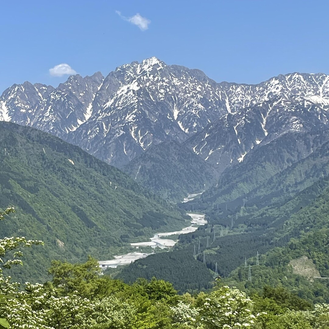 ハイキング-2024-05-04 / ko-ji-tさんの千石城山の活動データ | YAMAP / ヤマップ