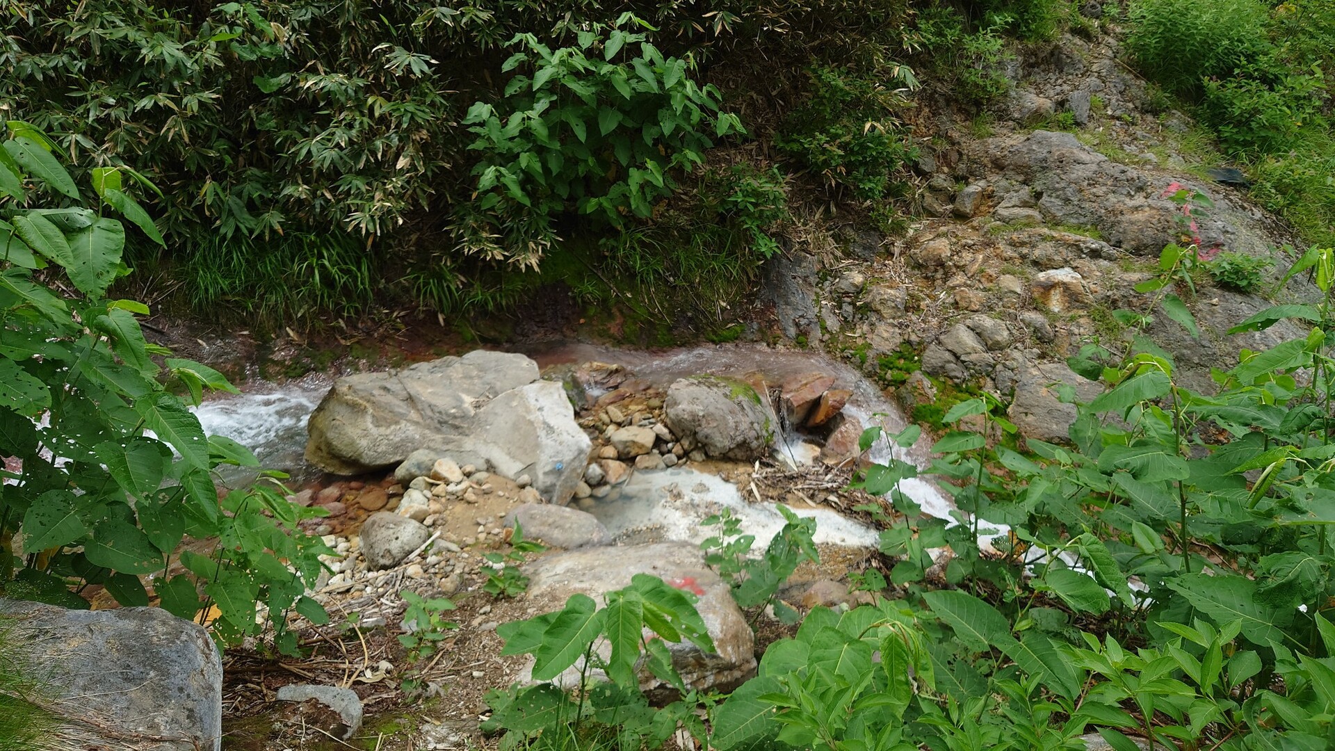 ARUさんの投稿したフィールドメモ | YAMAP / ヤマップ