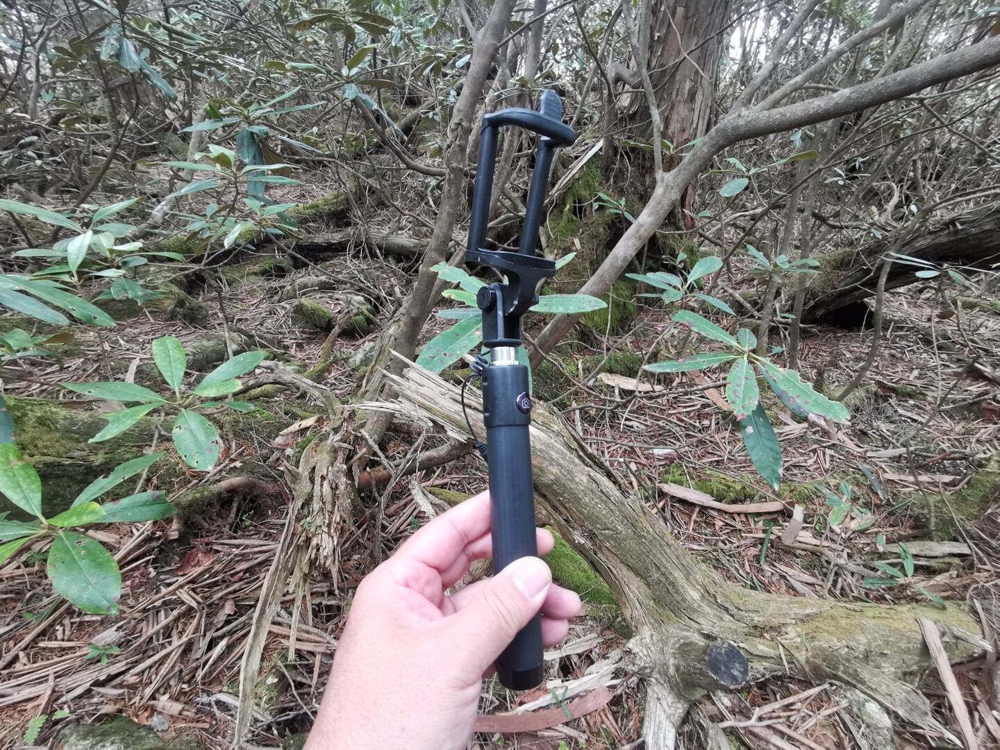 白髪山で自撮り棒の落とし物を拾いました。... / FRVさんのモーメント | YAMAP / ヤマップ