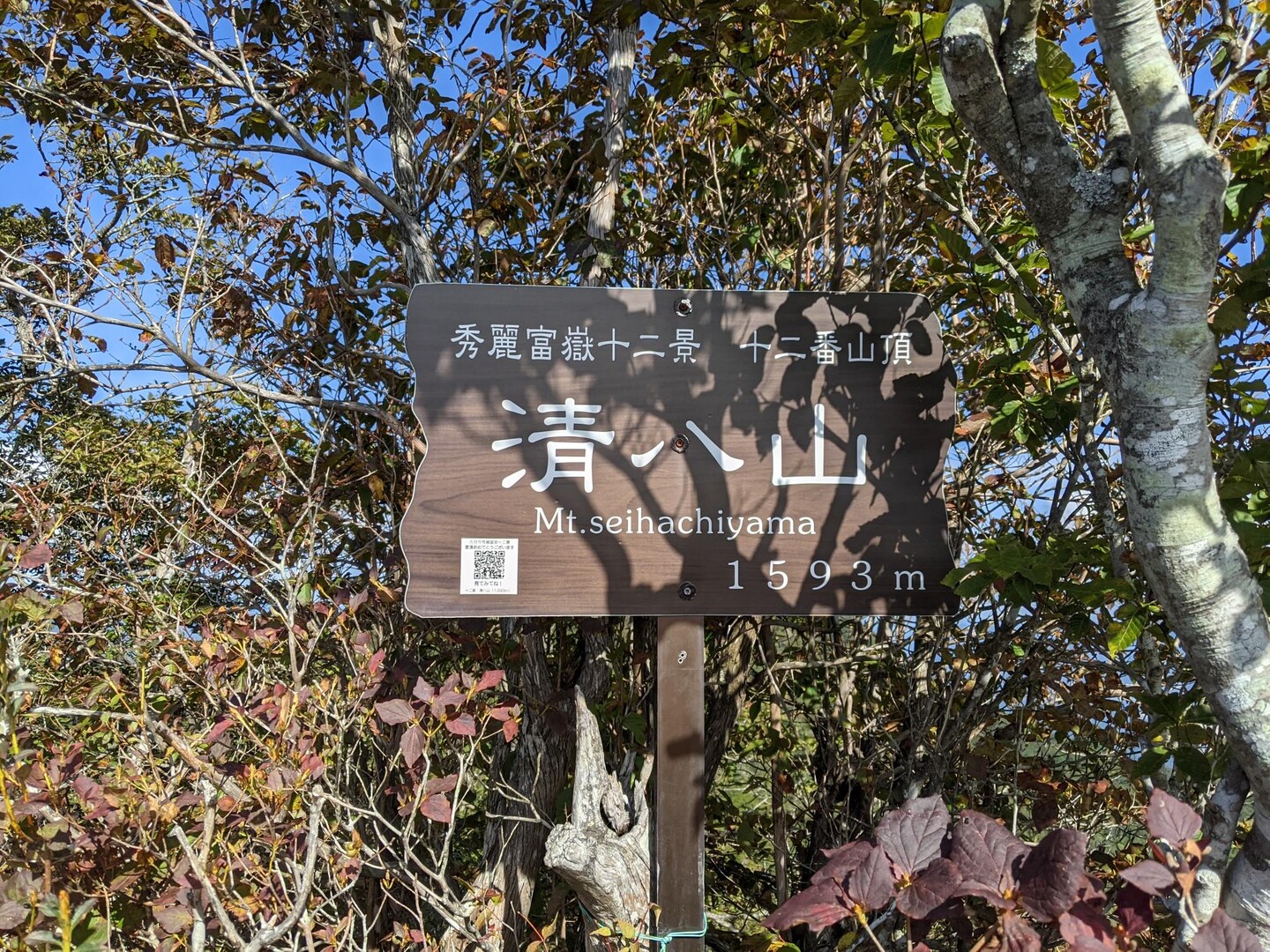 庭洞山・角研山・石切山・本社ヶ丸・清八山・八丁山 / yumさんの三ッ峠山・本社ヶ丸・鶴ヶ鳥屋山の活動データ | YAMAP / ヤマップ