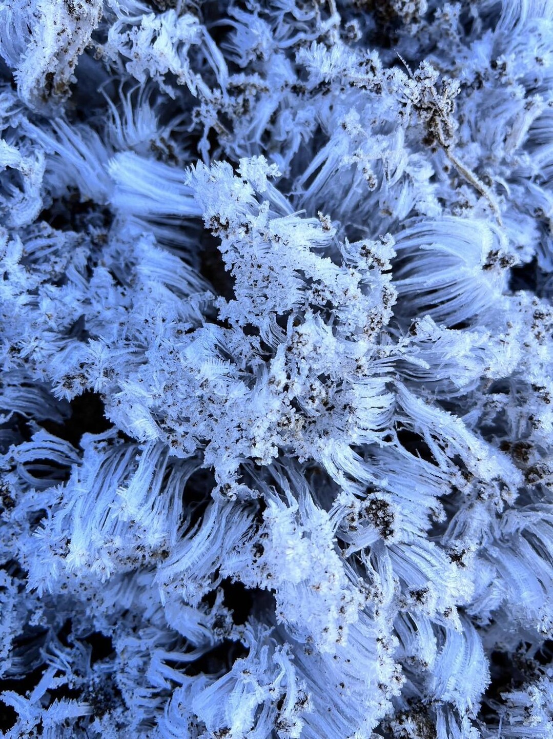 kabuのページ | YAMAP / ヤマップ