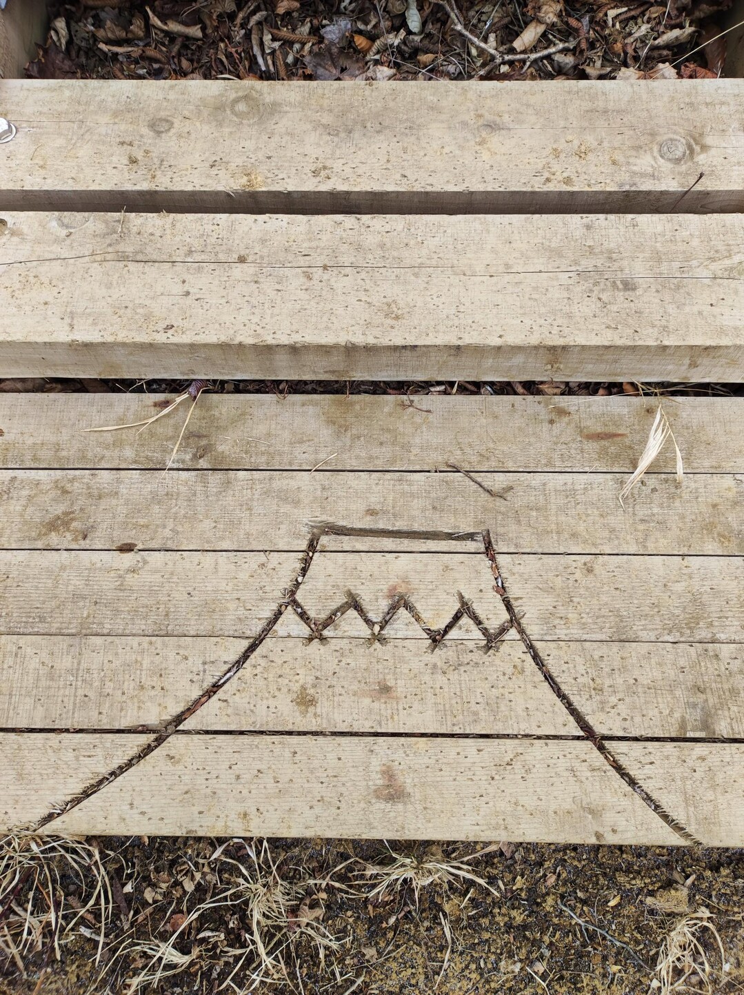 VC発〜加入道山〜大室山周回 / ヴァンデレさんの塔ノ岳・丹沢山・蛭ヶ岳の活動データ | YAMAP / ヤマップ