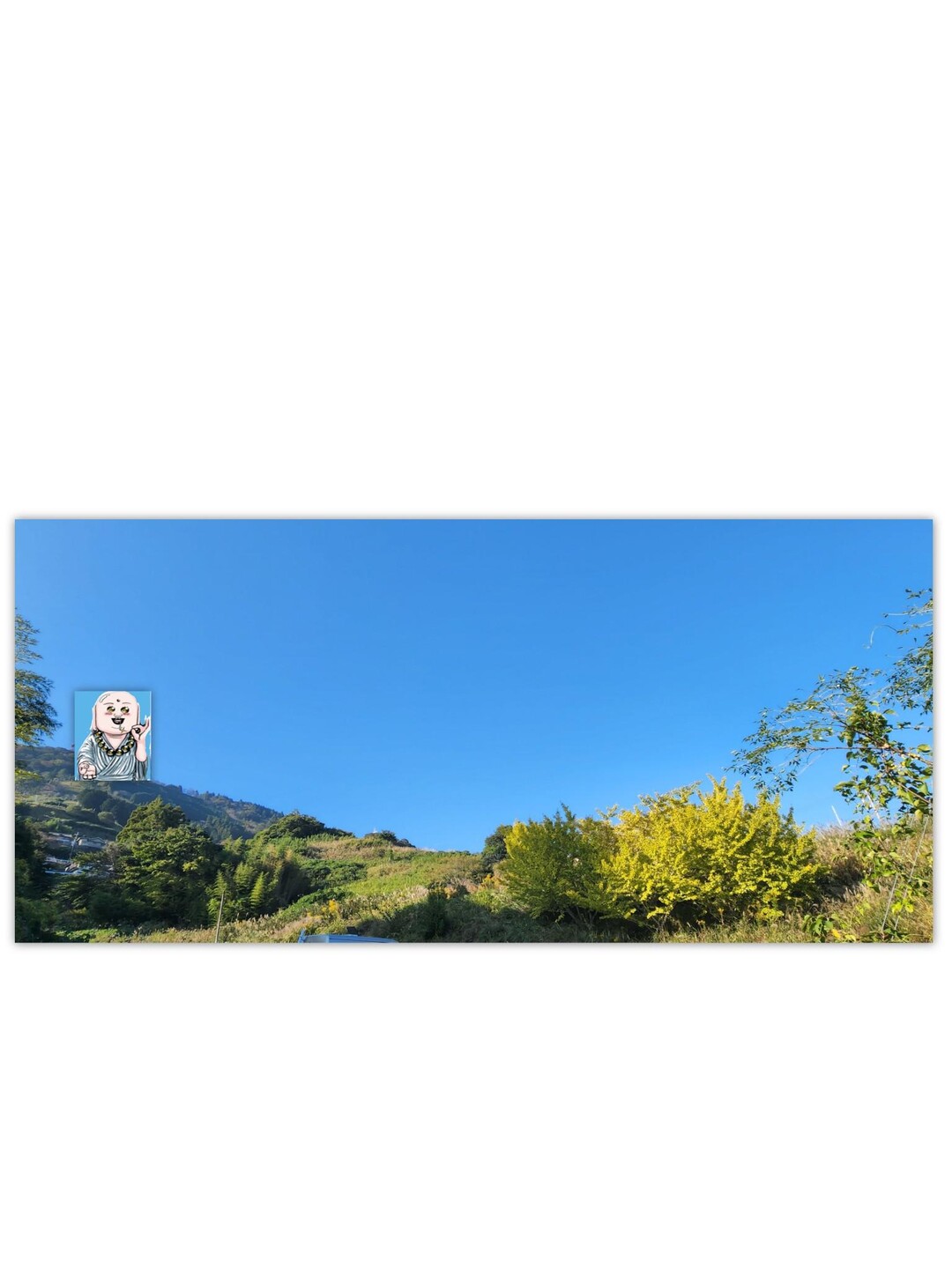 本日も静岡県粟ヶ岳にて 秋も深まり、体を... / yasutakaさんのモーメント | YAMAP / ヤマップ