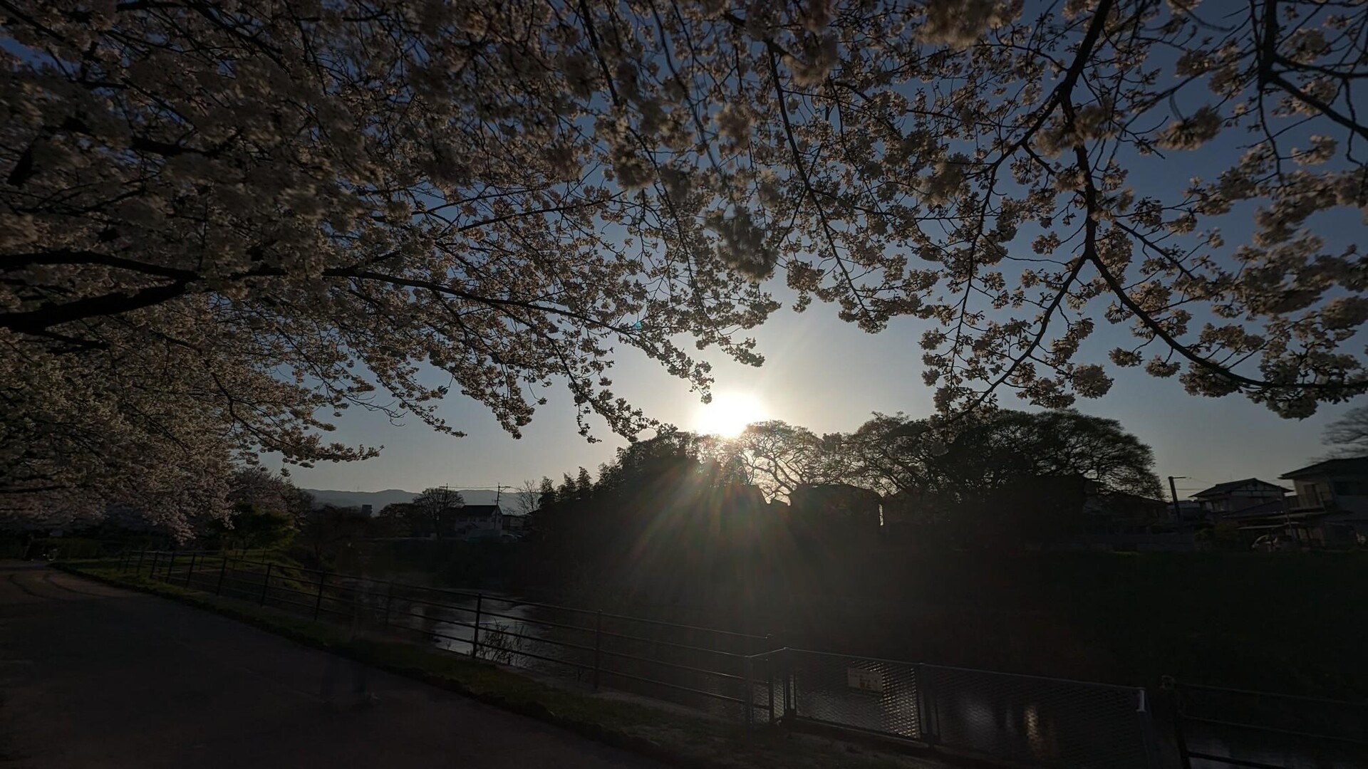 evening🌸walking #... / Chi-chanさんのモーメント | YAMAP / ヤマップ