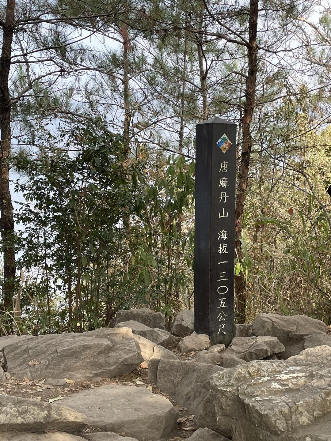 唐麻丹山(台湾・台中)-'23-03-04 / I•suzuさんの登山の活動データ | YAMAP / ヤマップ