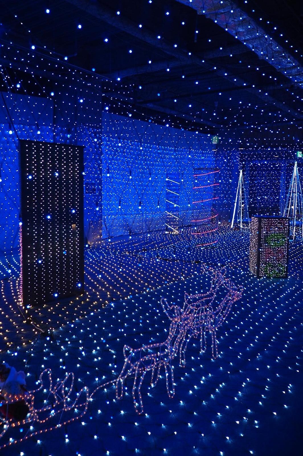 隙間時間にイルミ撮影🎄 @朱鷺メッセ... / momoさんのモーメント | YAMAP / ヤマップ