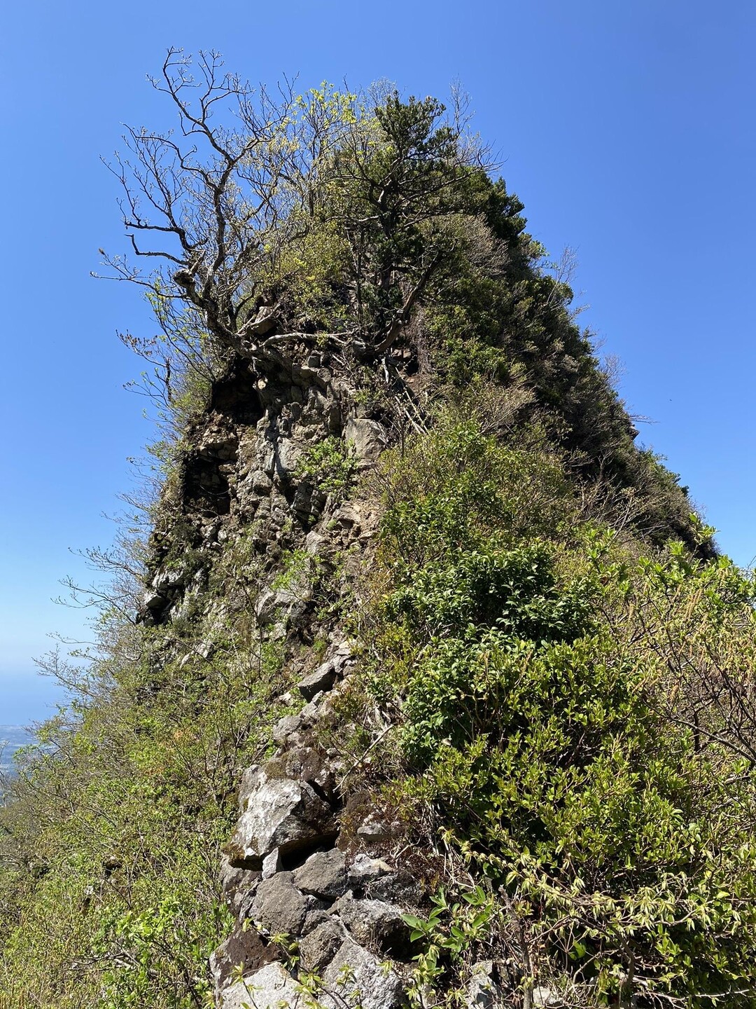 野田ヶ山•親指peak•振子山・象ヶ鼻 / 小豆LOVEさんの大山・甲ヶ山・野田ヶ山の活動データ | YAMAP / ヤマップ