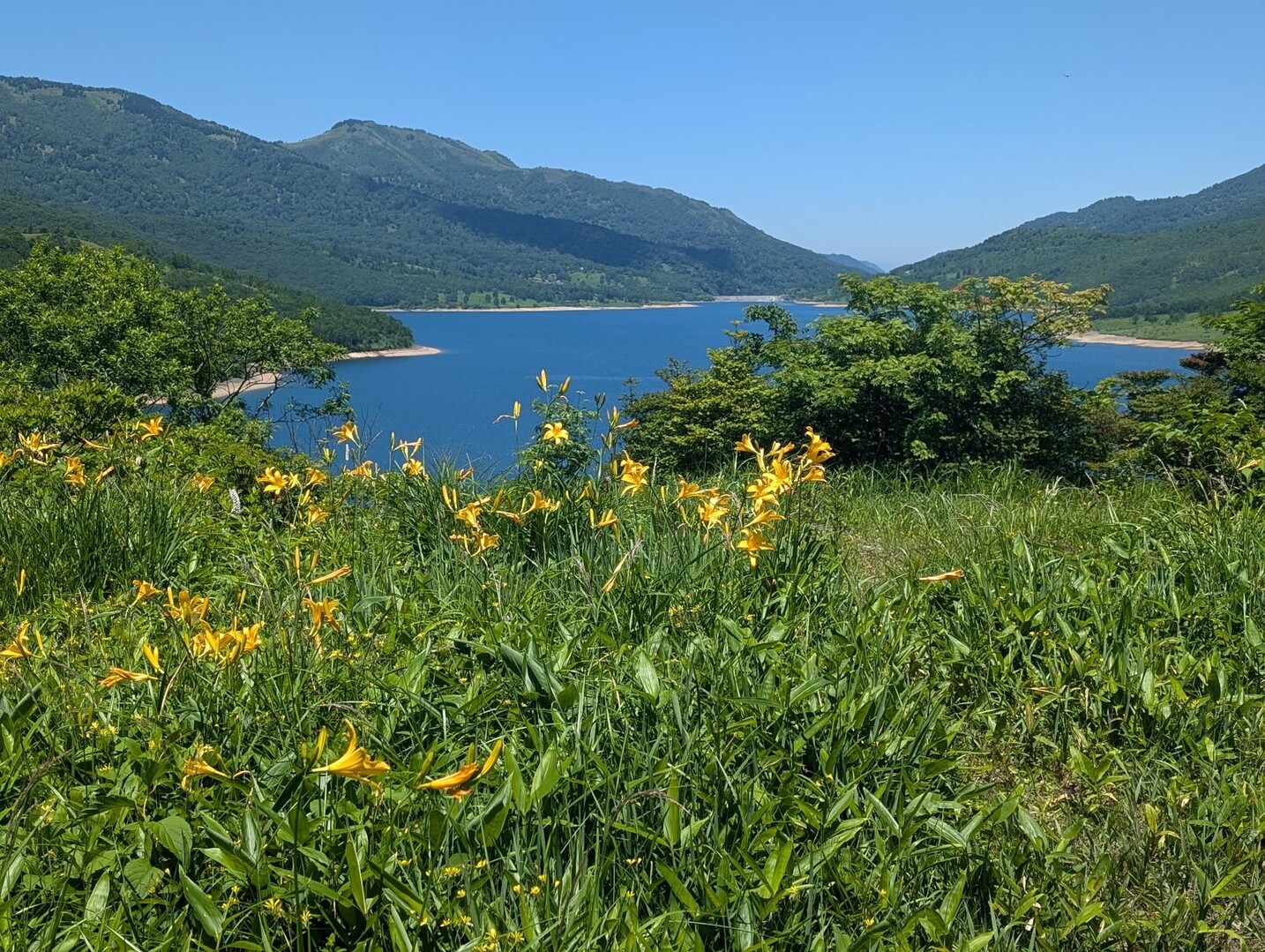 弁天山 / moozさんの高沢山・エビ山・大高山の活動データ | YAMAP / ヤマップ