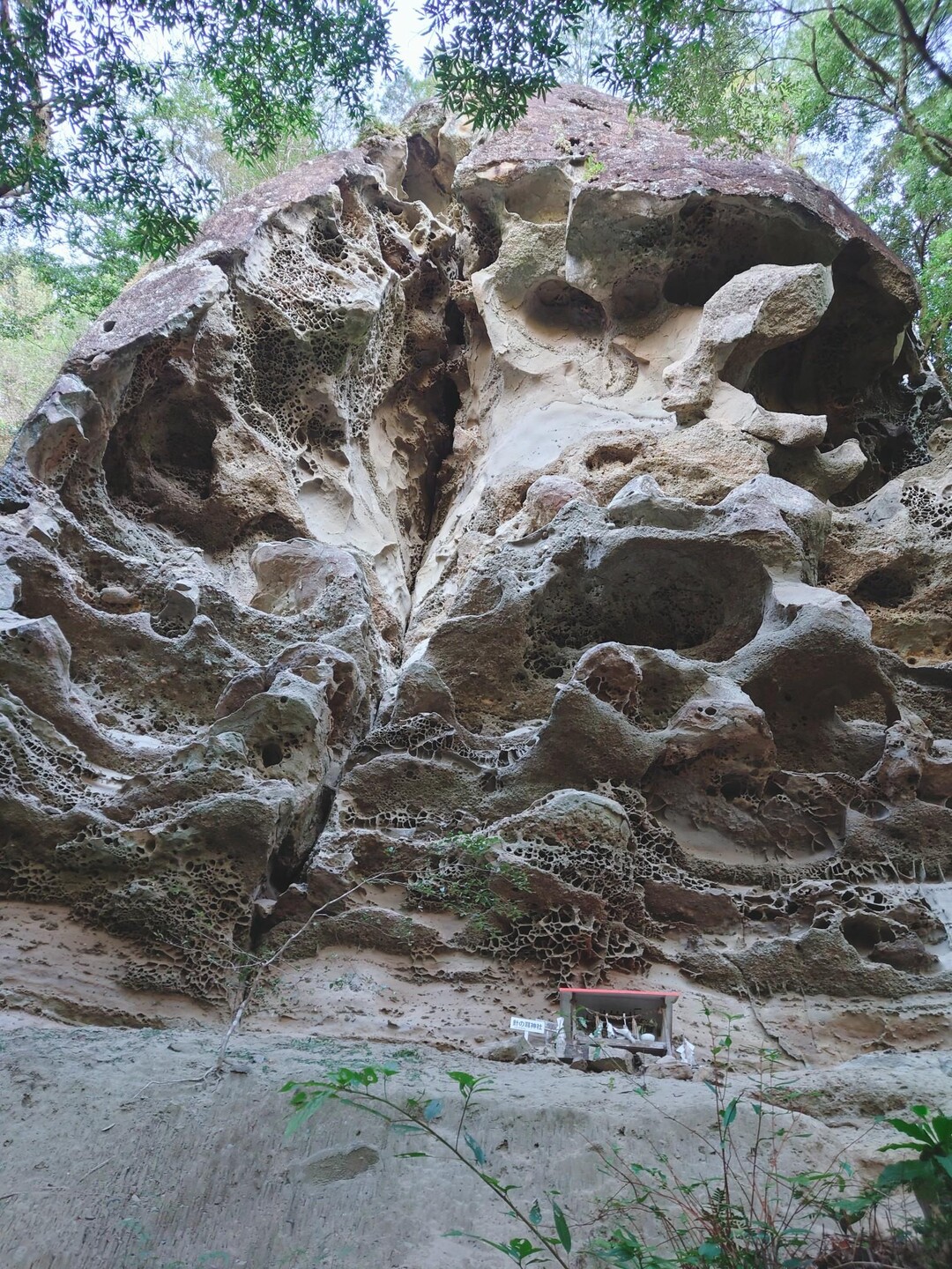 双石山 / mozuさんの双石山・花切山・岩壺山の活動データ | YAMAP / ヤマップ