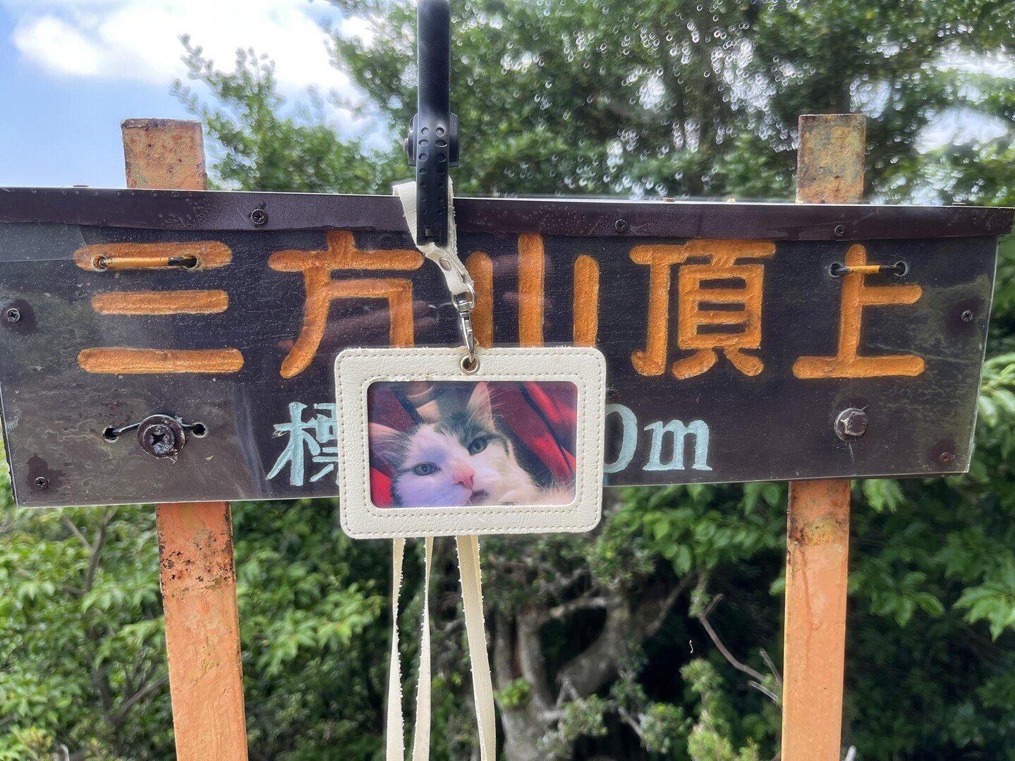 三方山・小倉山・なっくんと共にR5-25(通算180) / なっくんさんの養老山・笙ヶ岳・三方山の活動データ | YAMAP / ヤマップ