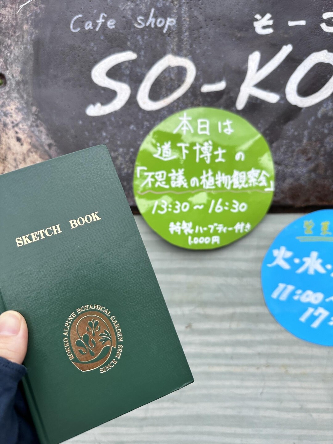 不思議の植物観察会inあおのかぜ に参加... / ERlii*さんのモーメント | YAMAP / ヤマップ