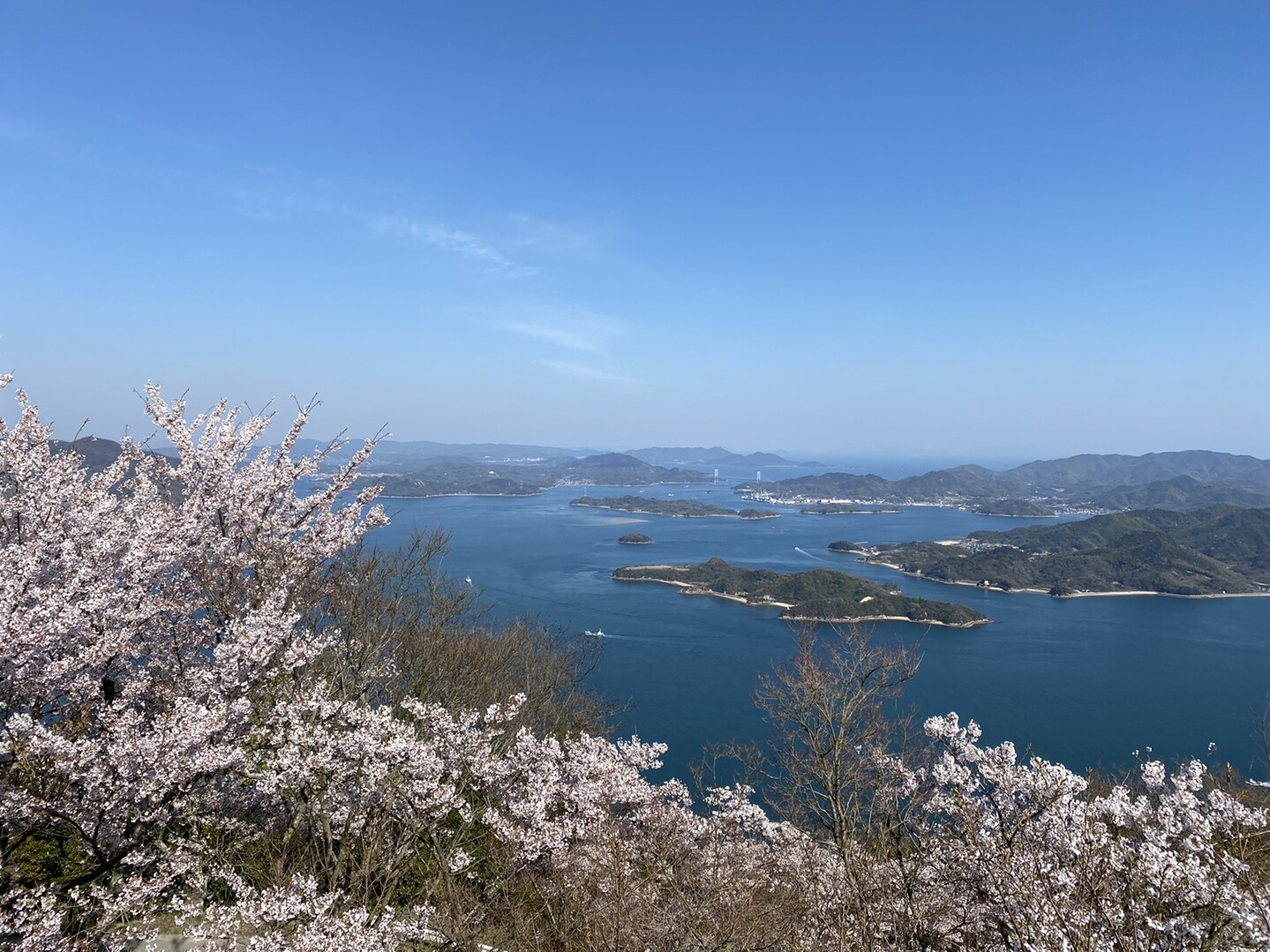 筆影山・葉田竜王山 -2020-04-06 / masashiさんの筆影山・葉田竜王山 の活動データ | YAMAP / ヤマップ