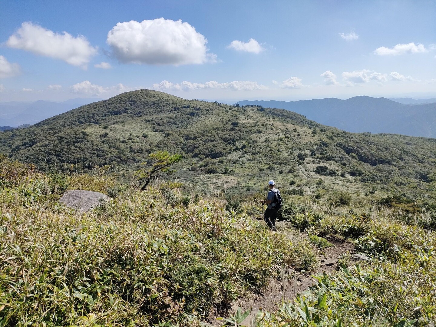 岩樋山・道後山 / ishi_chocoさんの道後山・岩樋山の活動データ | YAMAP / ヤマップ